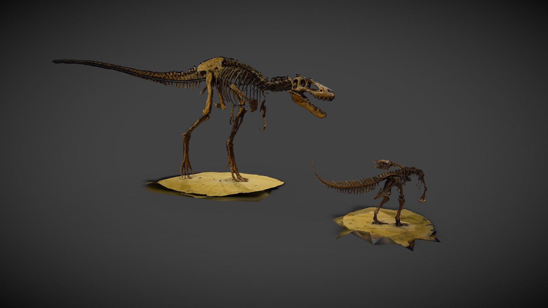 First Pass 3d Scan T-Rex - 3D model by PhotoGramGear [763f5d5] - Sketchfab