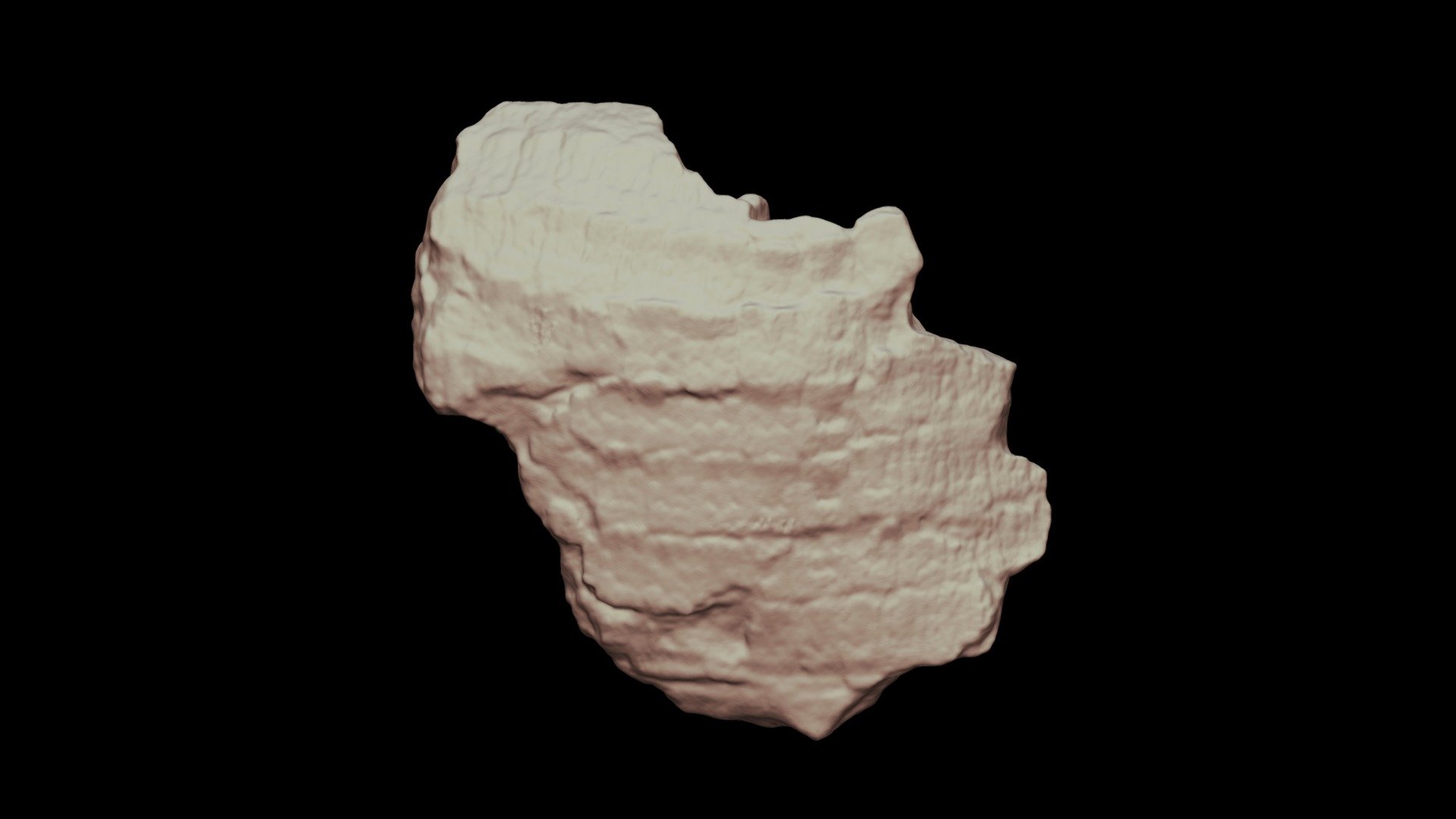 Proeuphractus prominens (29-IV-15-5) - 3D model by Museo de La Plata ...