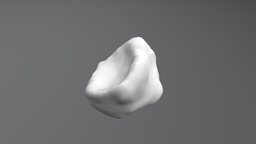 Navicular - 3D model by Clínica 3D (@clinica3d) [7656367] - Sketchfab