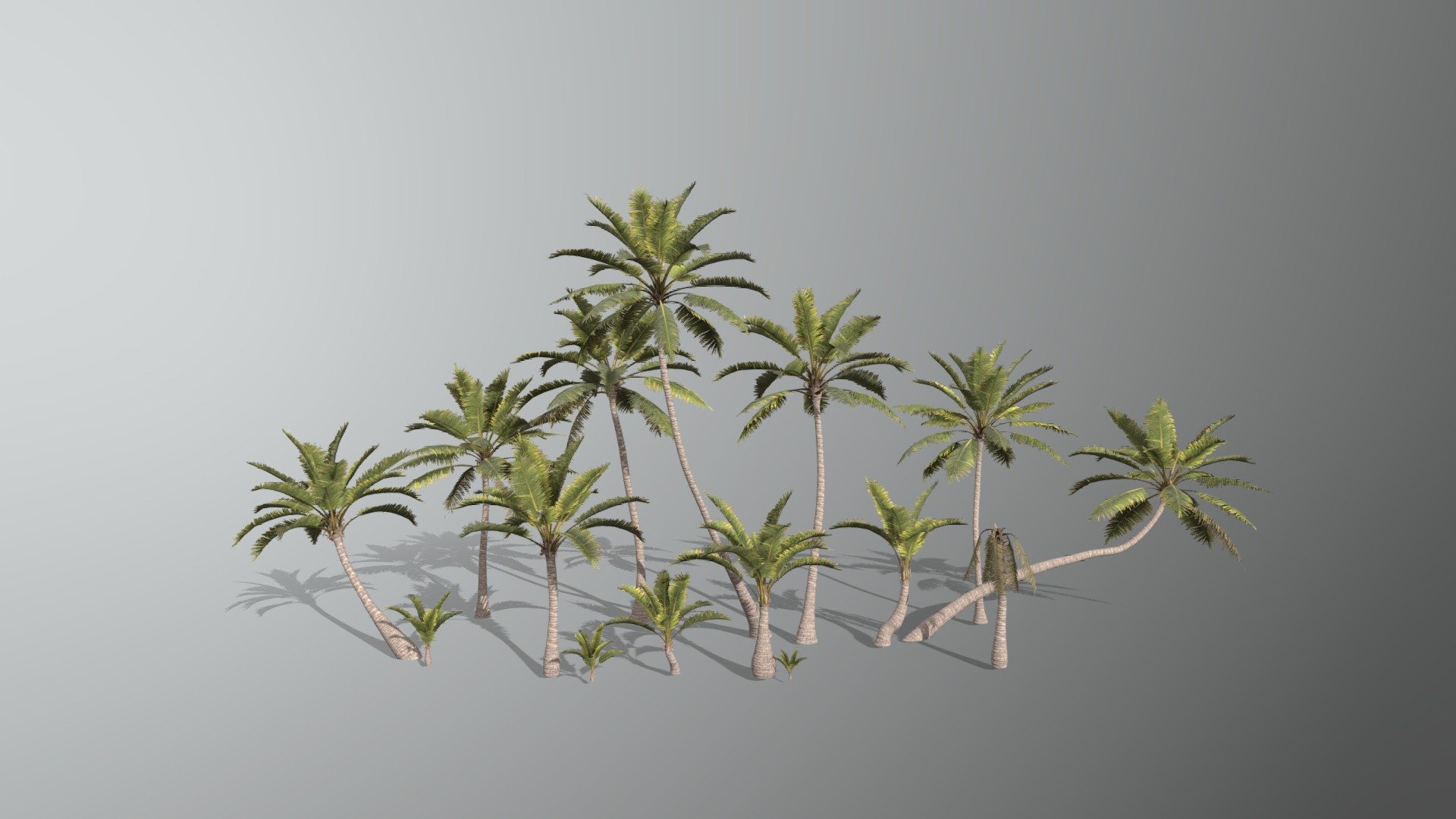 Palm - Download Free 3D model by Mirbek (@_cgxi17) [76658ea] - Sketchfab