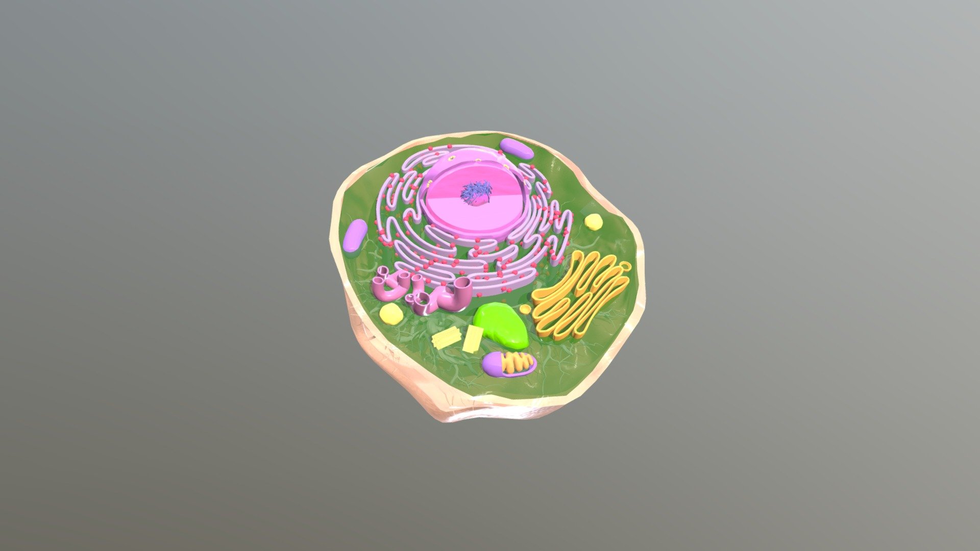 Celula Animal - 3D model by angelchat3108 [766a83e] - Sketchfab