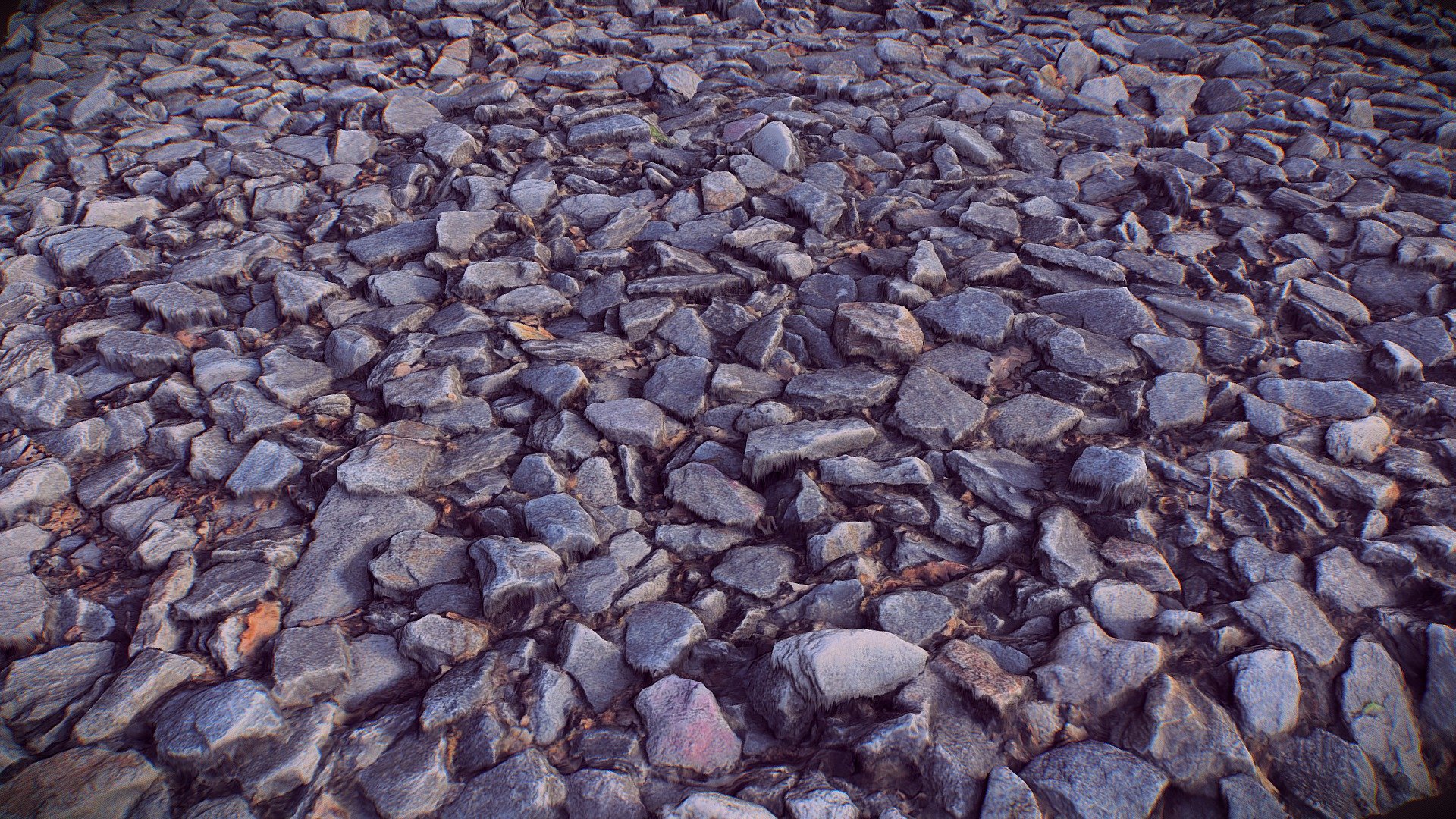 Photogrammetry: Rock Bed - 3D model by SuspiciouslyAwesome (@TiRi2501 ...