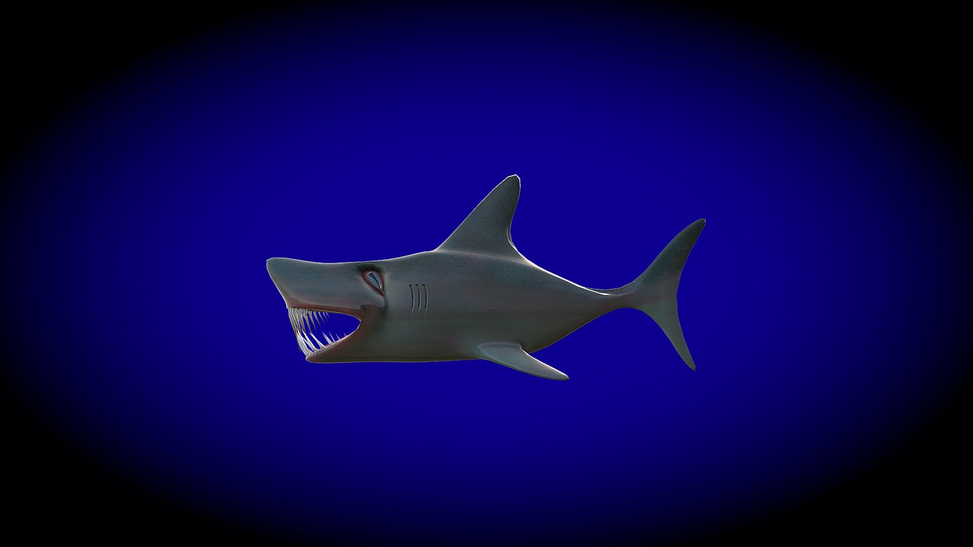 Shark Stylized - 3D model by megamaniac [766dd0b] - Sketchfab