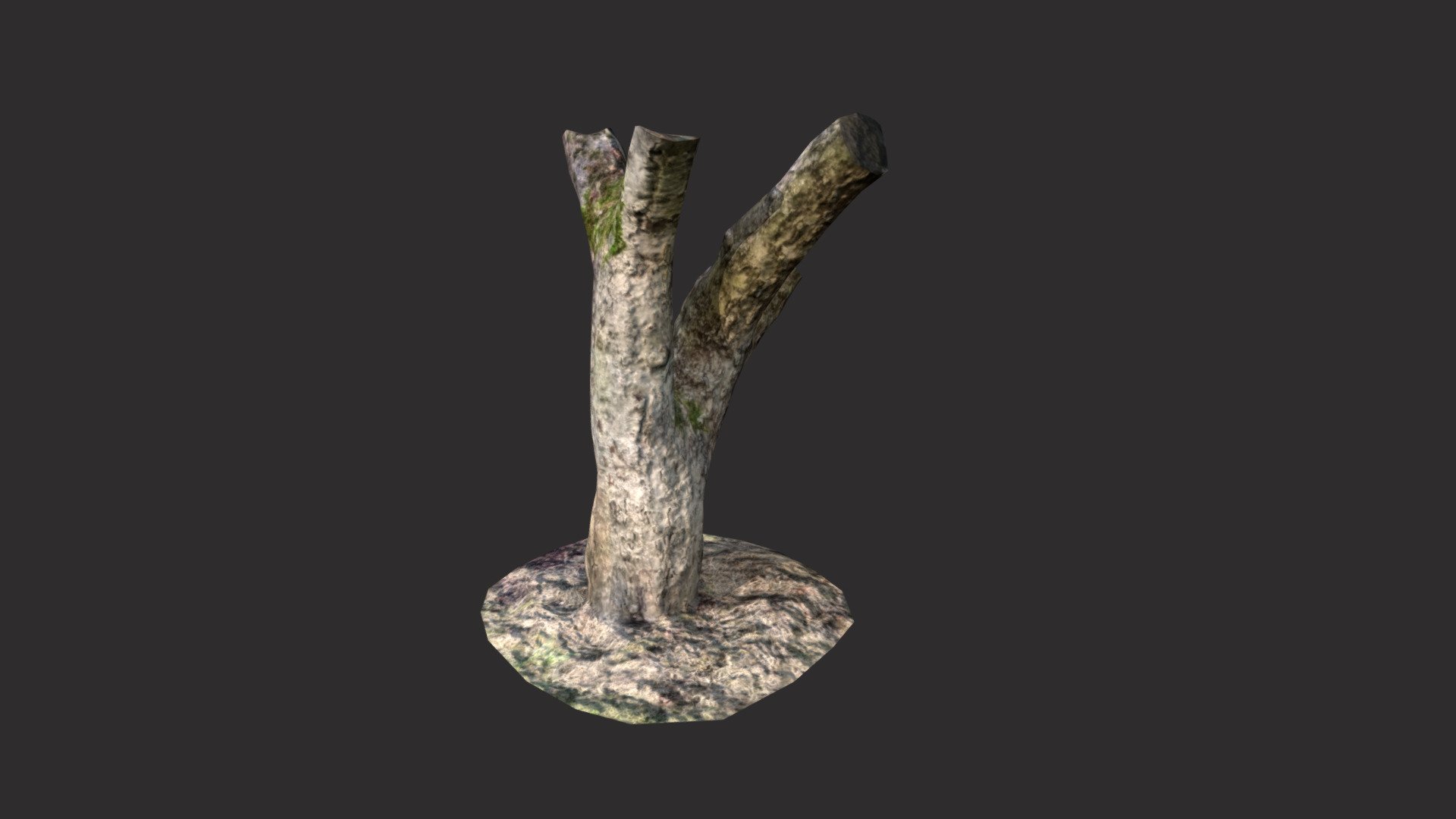rotten tree - Download Free 3D model by PionX [7670070] - Sketchfab