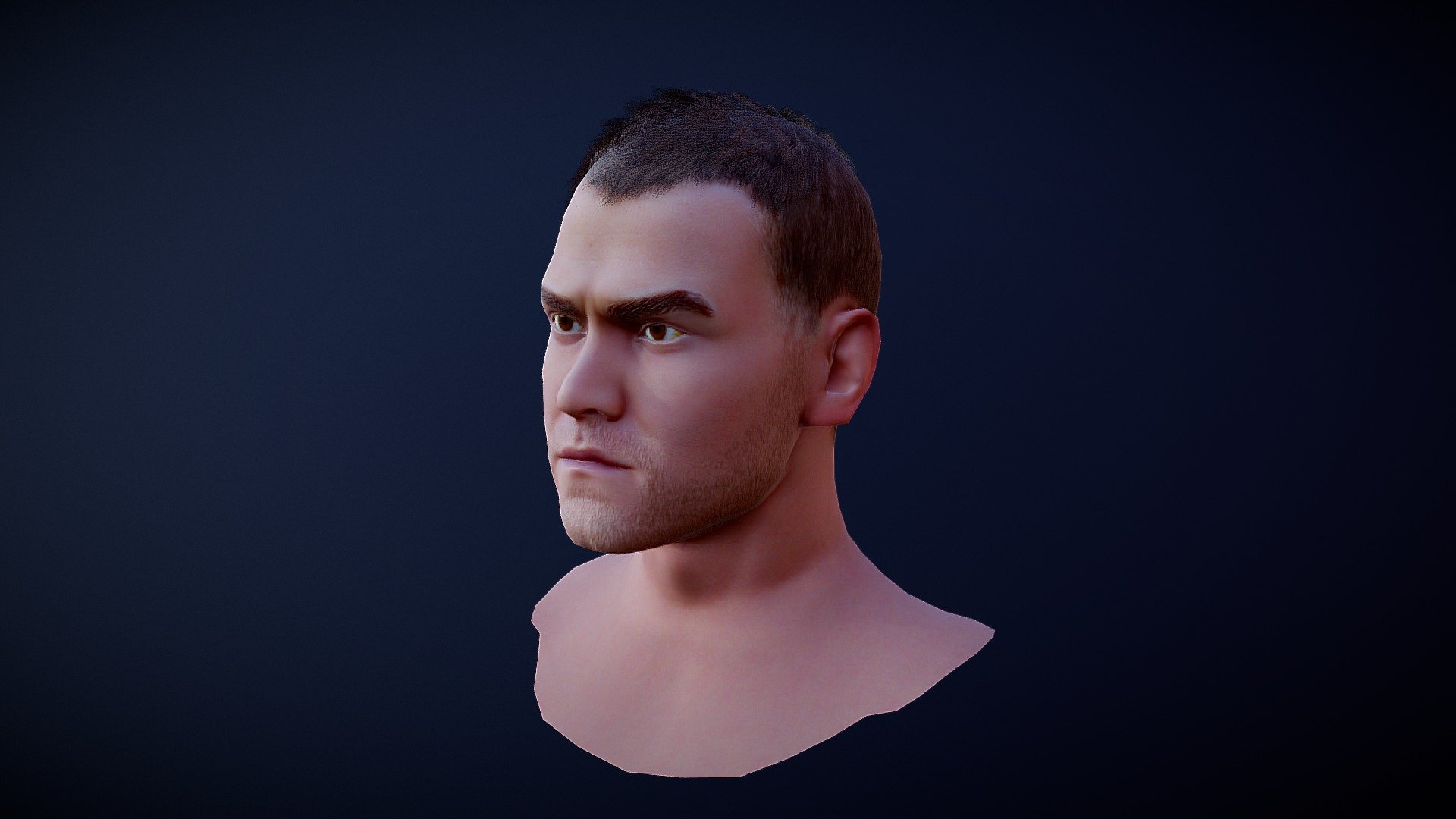 Akin Head Hairs2 - 3D model by Johny Zebra (@Satoshipowered.ai ...