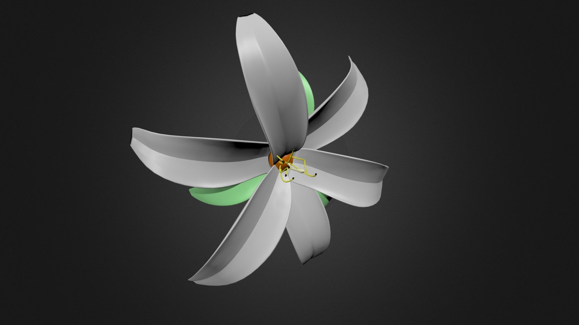 Tiger Lily - Download Free 3D model by crematia18 [76864c4] - Sketchfab
