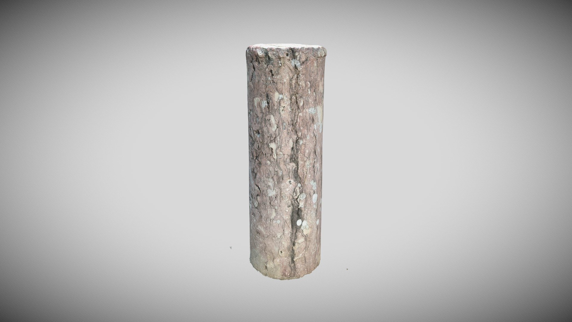 Cipo Itálica - 3D model by tdeive [768d1b3] - Sketchfab