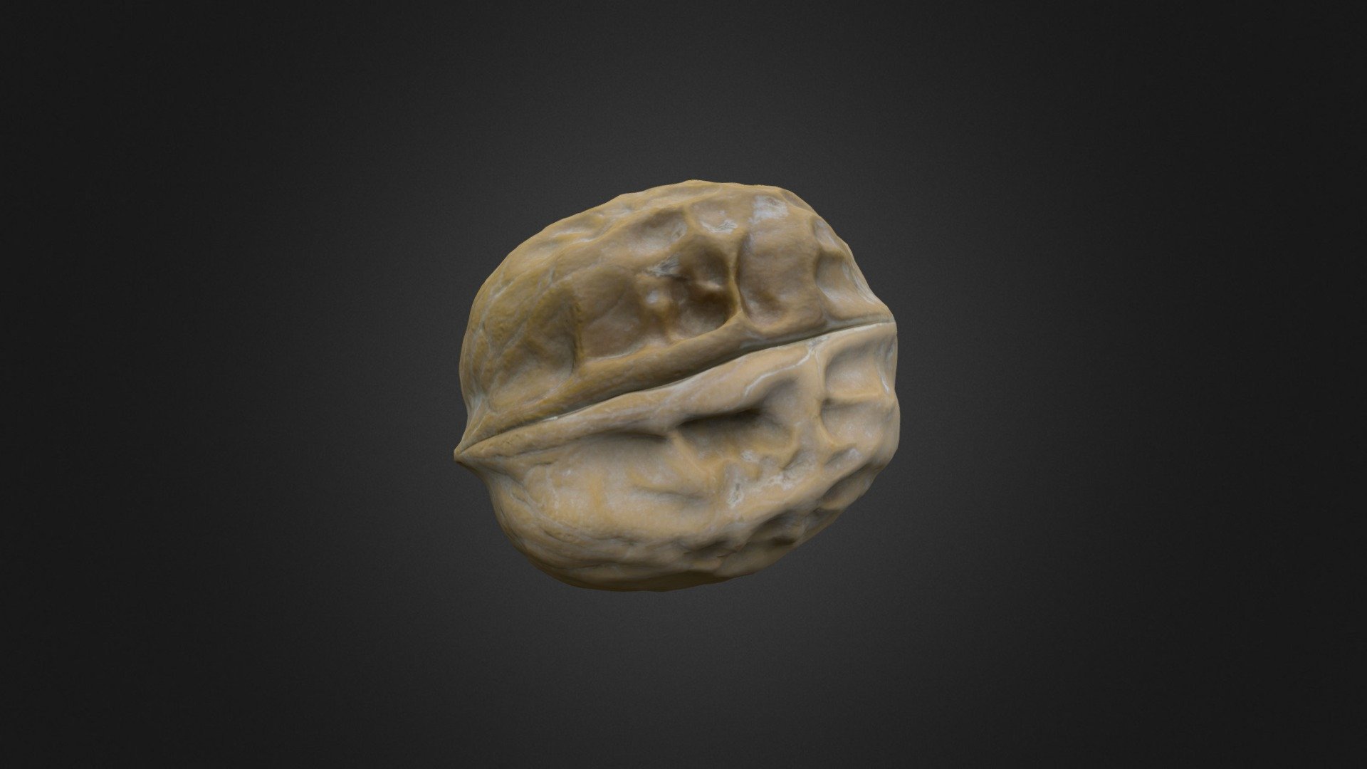 hetao - 3D model by www33 [7694ed2] - Sketchfab