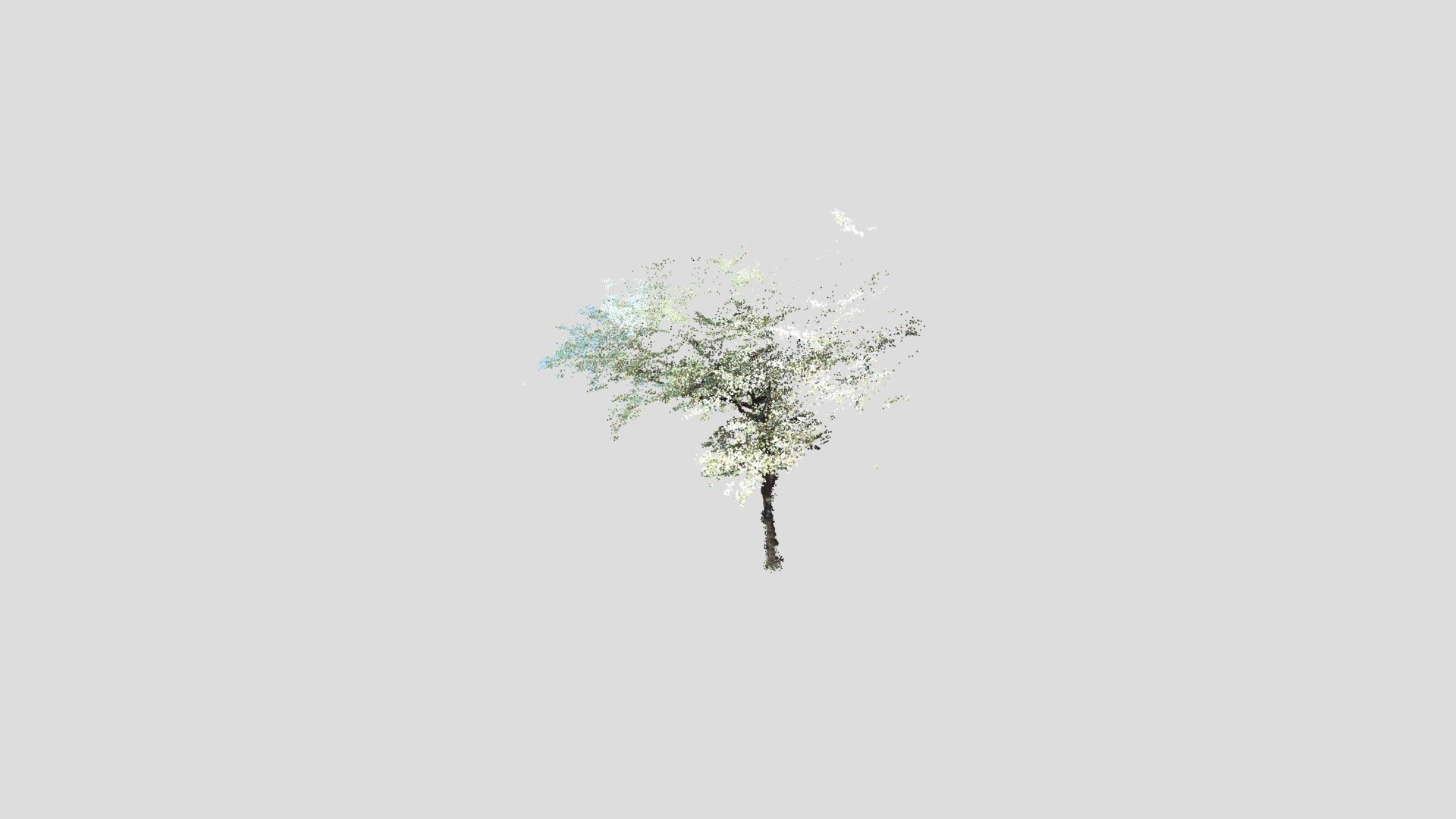 tree28-pointcloud - 3D model by Nodai_Kunii_Lab (@mmsroadsidetree ...
