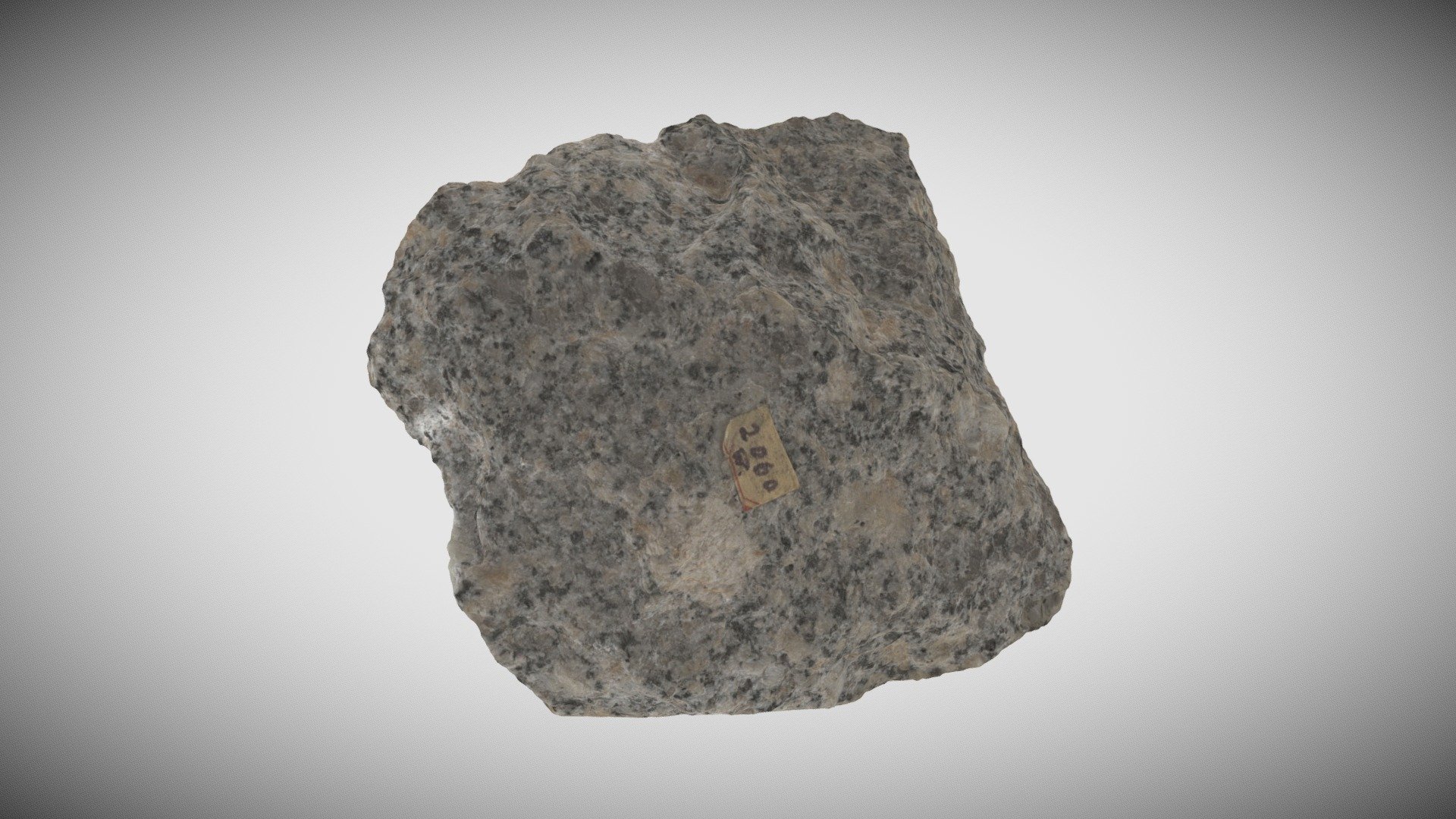 Porphyritic Granite - 3D model by Harvard Library (@HarvardLibrary ...