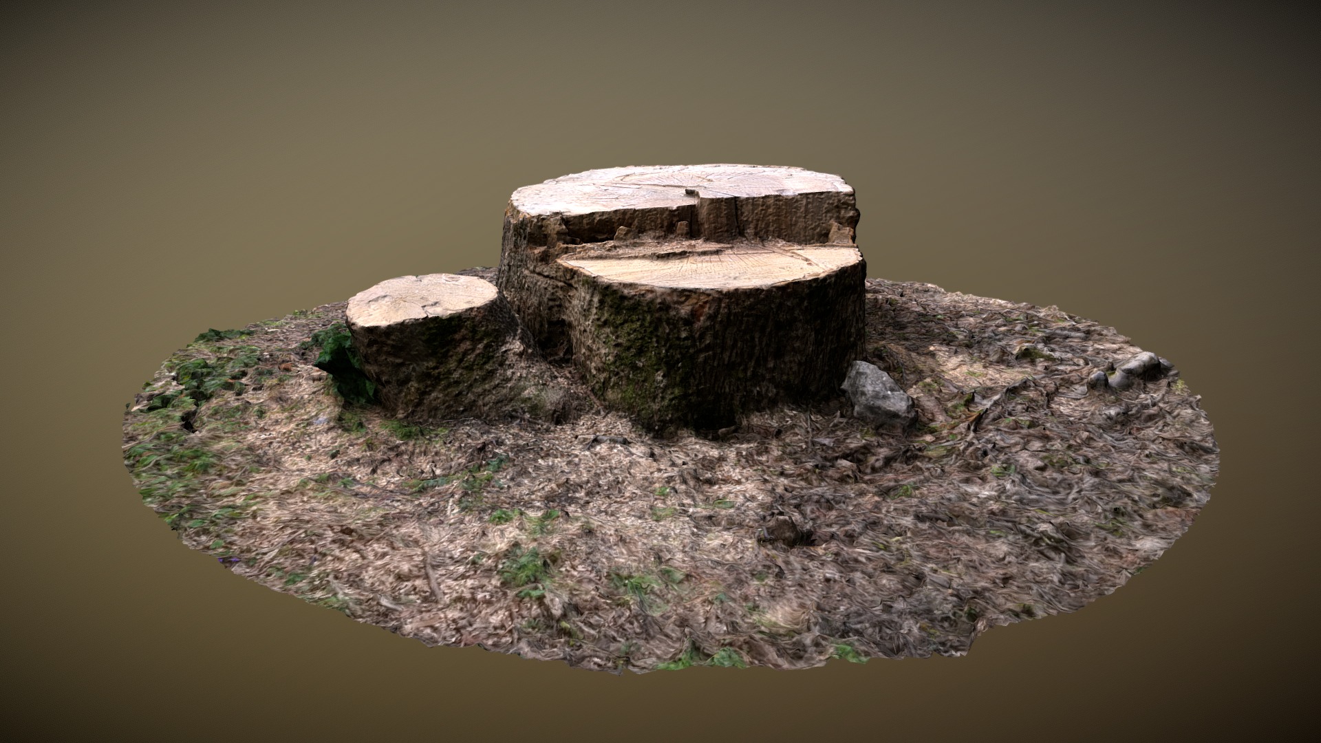 Tree Stump 02 - Download Free 3D model by blenderbirb [76ac715] - Sketchfab