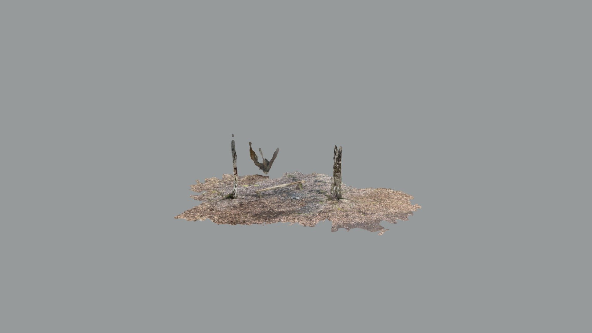 3D Scan - Download Free 3D model by cahodk [76b56e8] - Sketchfab