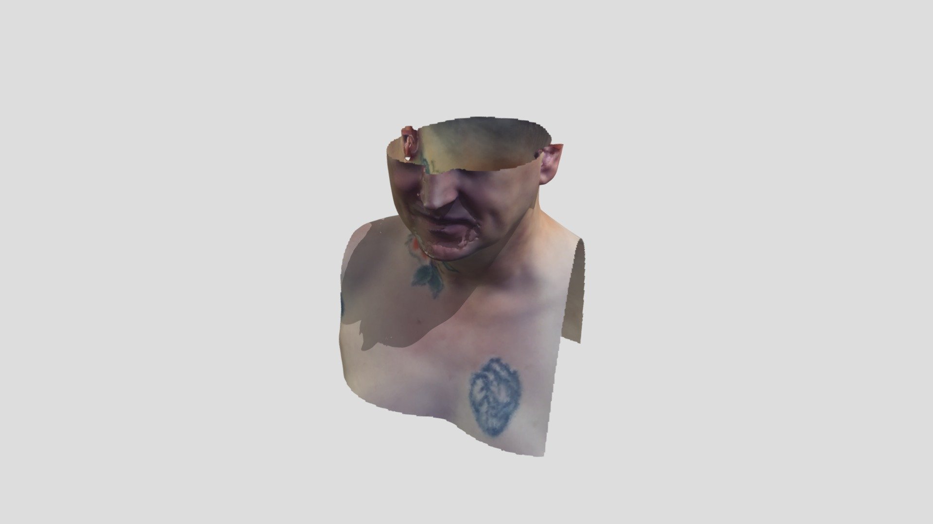 Chin And Chest_mesh - 3D model by Leeds Beckett Tattoo Project ...