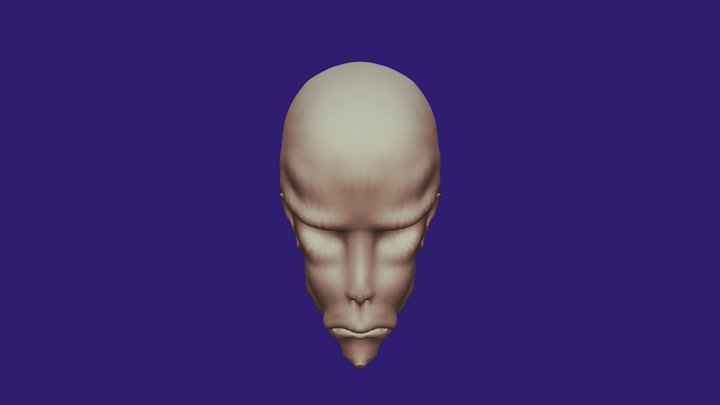 Base_mesh 3D models - Sketchfab