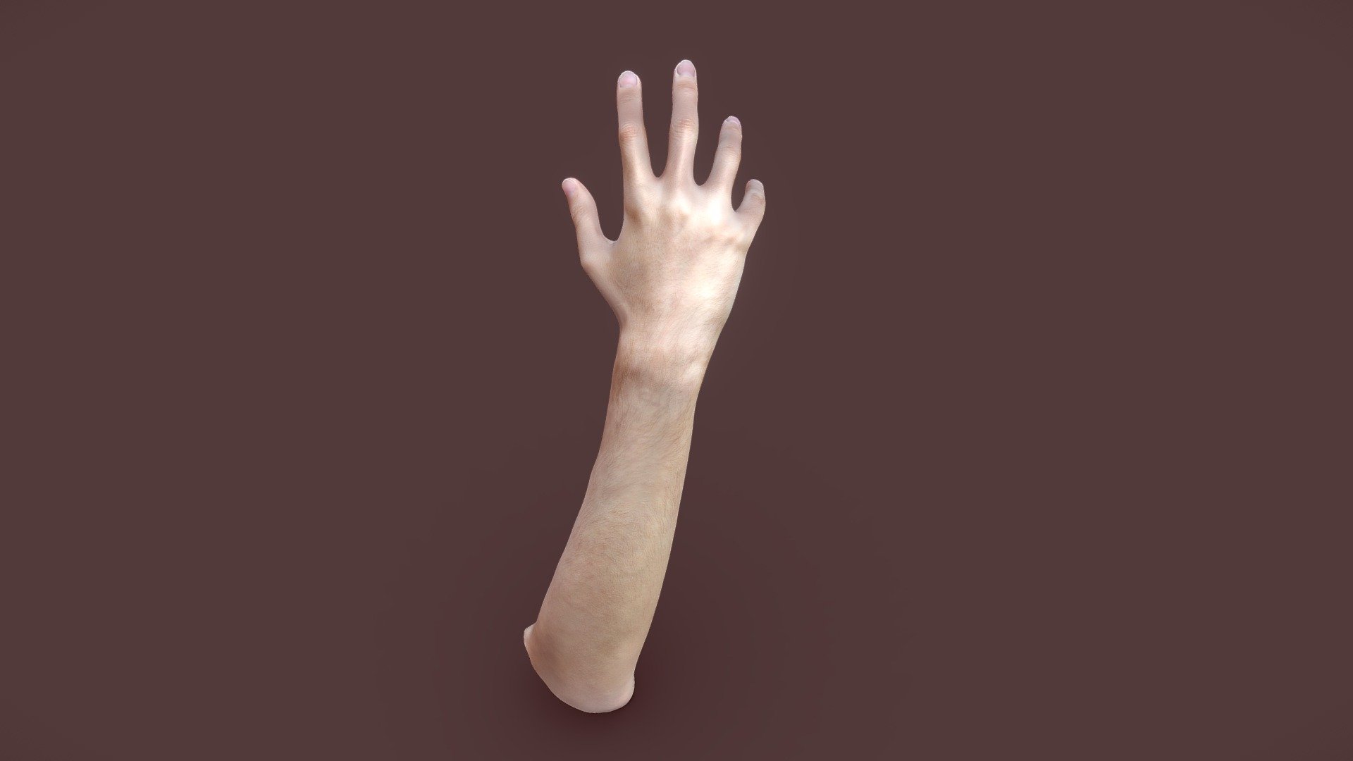 Arm - Download Free 3D model by Just8 [76c7f12] - Sketchfab