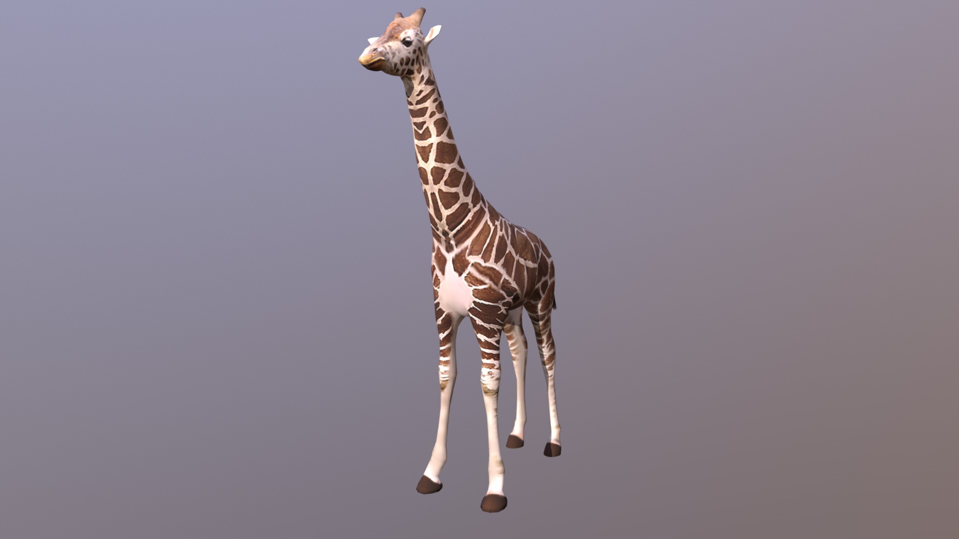 Giraffe - Buy Royalty Free 3D model by 3dlowpoly [76d0971] - Sketchfab ...