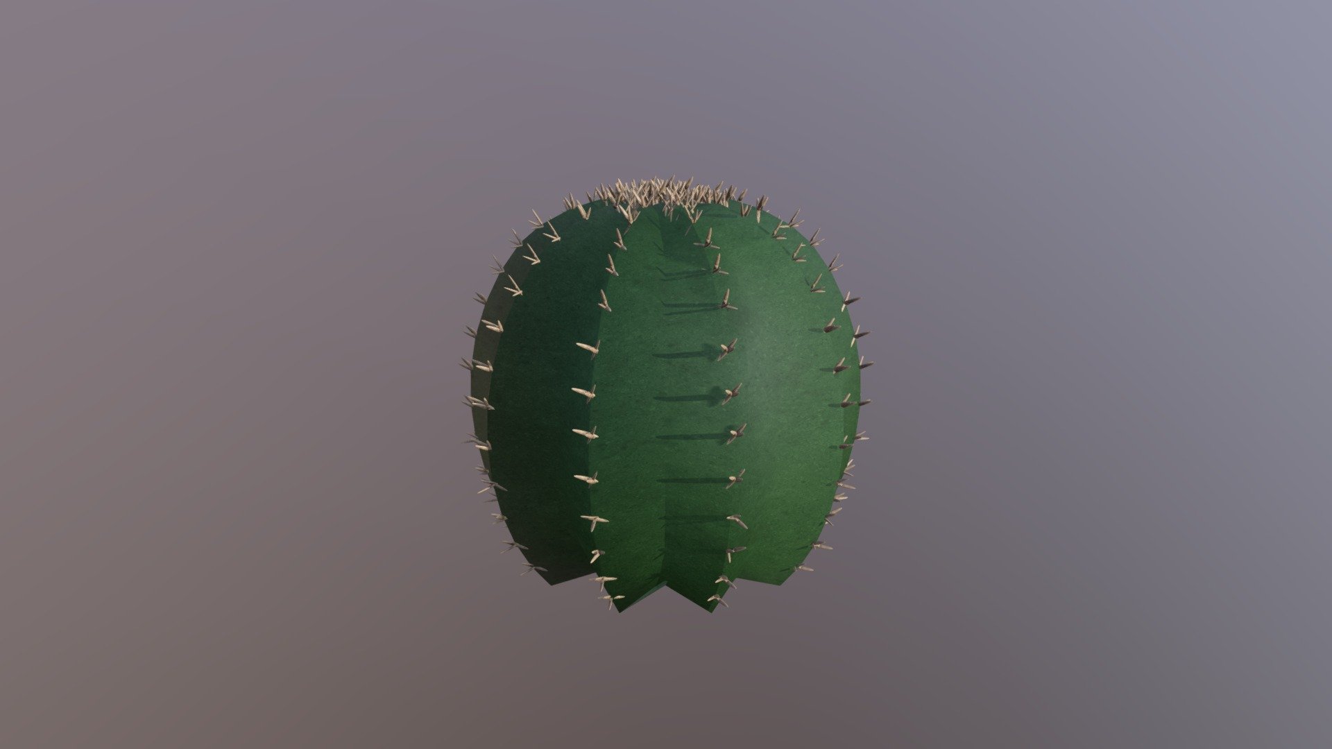 Low Poly Cactus - 3D model by mariahornsby [76d1956] - Sketchfab