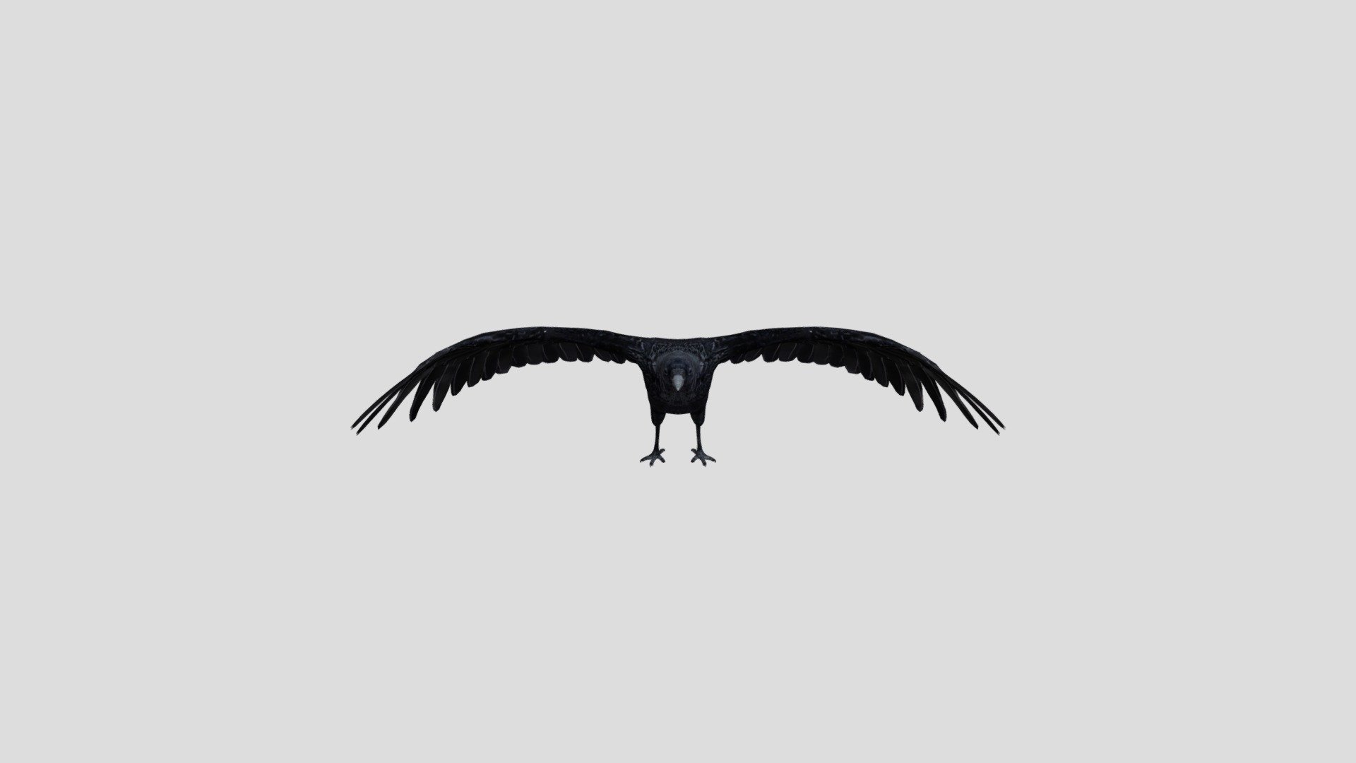 RAVEN - Download Free 3D model by AidanYT55Twt (@Pofdpoi) [76d2542 ...