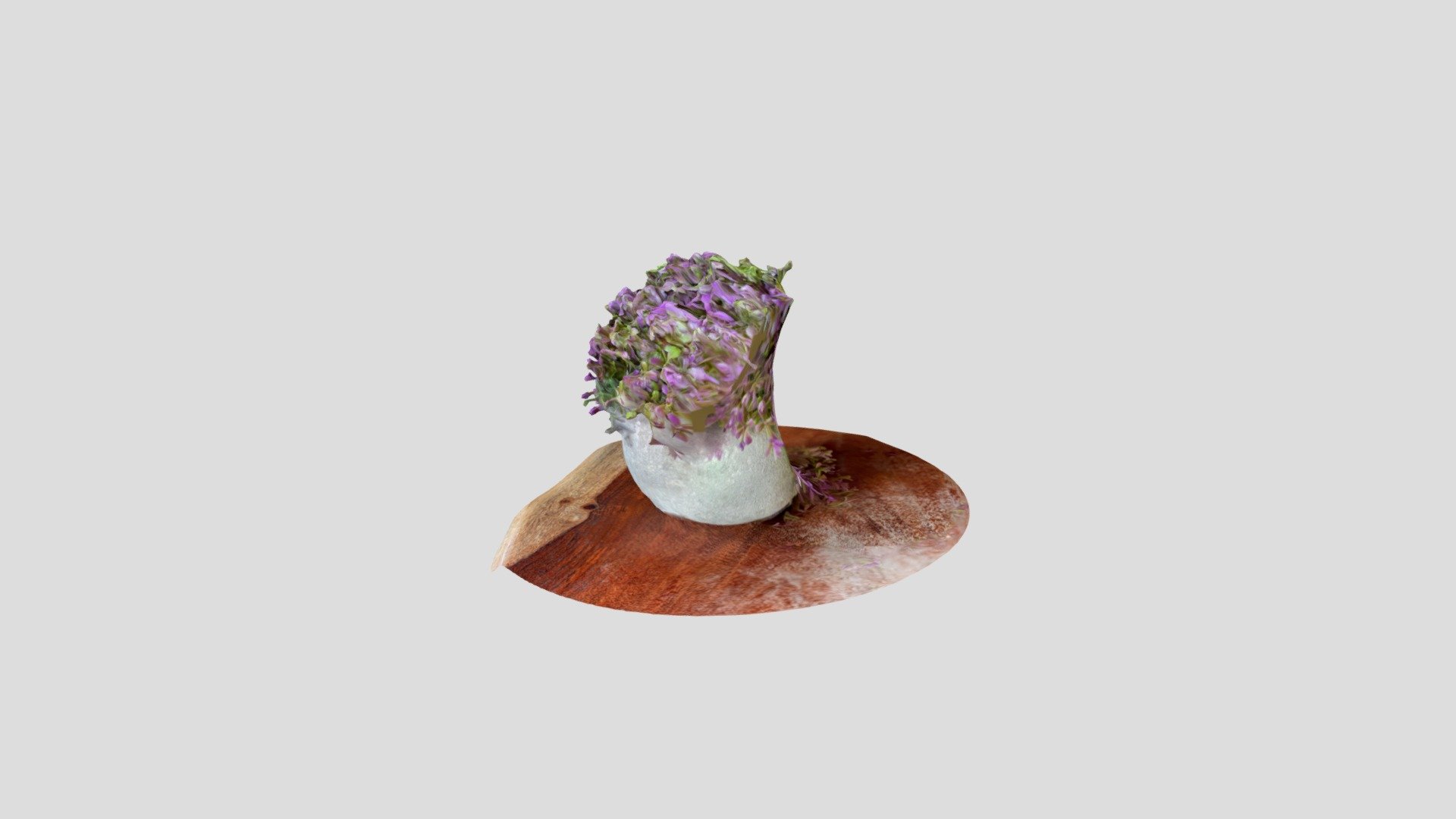 Flower - Download Free 3D model by SKP.EXPERT [76dd186] - Sketchfab