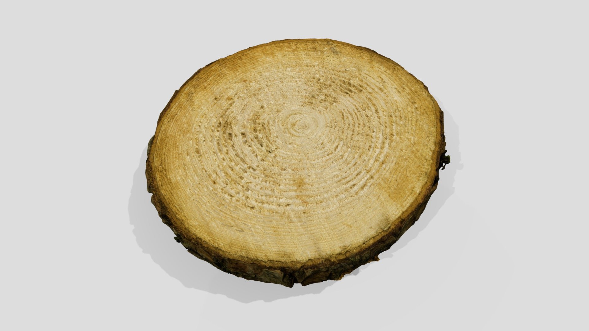 Wood Disk 1 - 3D model by Patrick Kelley (@chronopsis) [76e4f01 ...