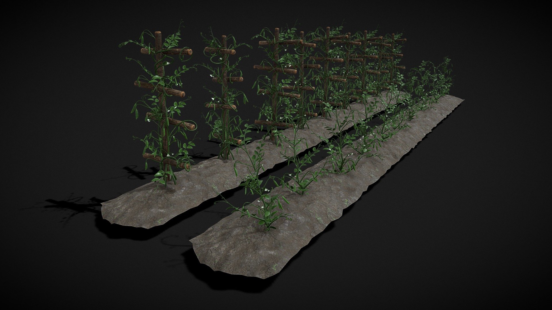 Crops Peas Plants - Buy Royalty Free 3D model by GetDeadEntertainment ...
