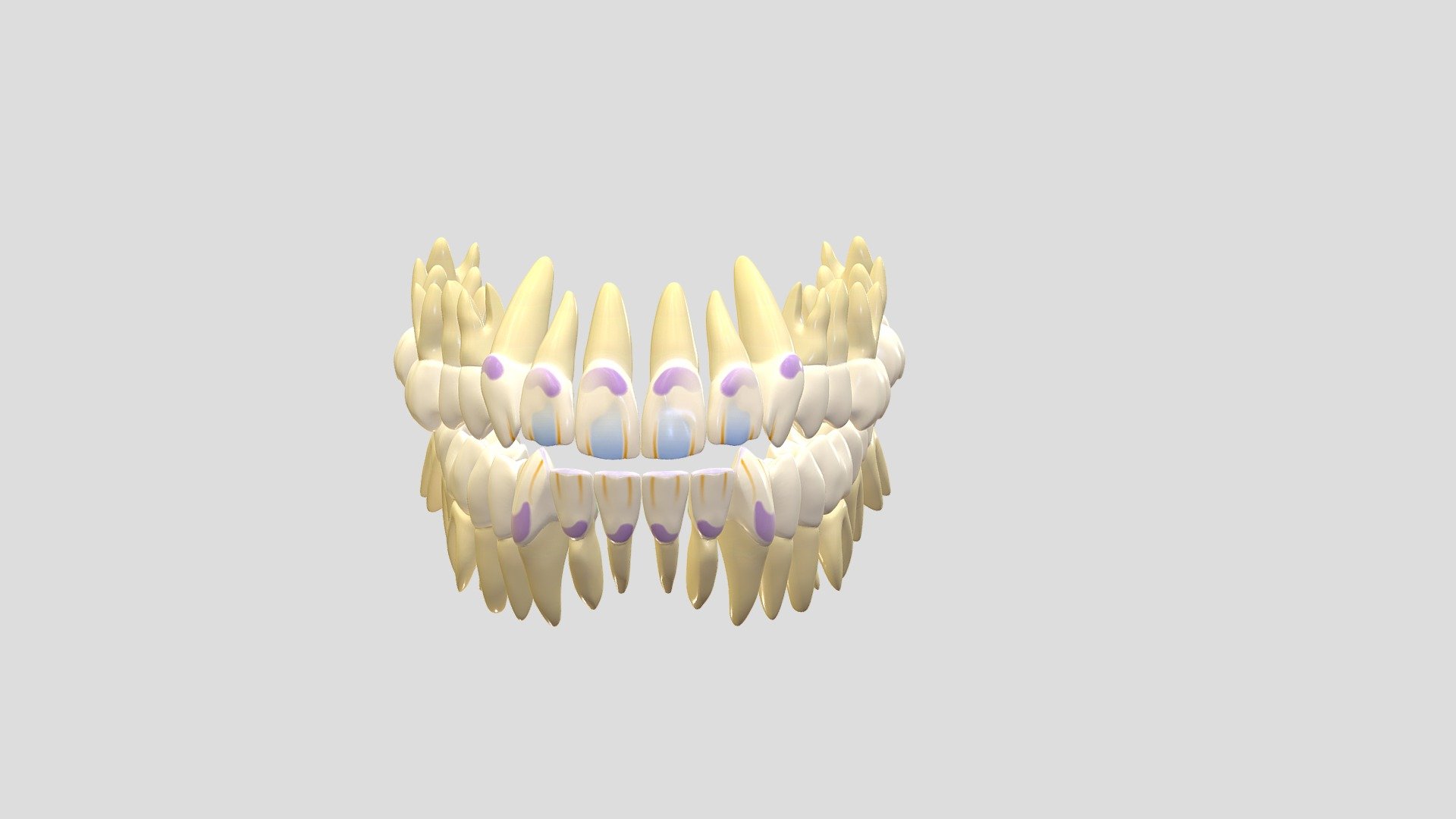 Teeth, Simplified Dental Anatomy and Esthetics - 3D model by b.kobax ...