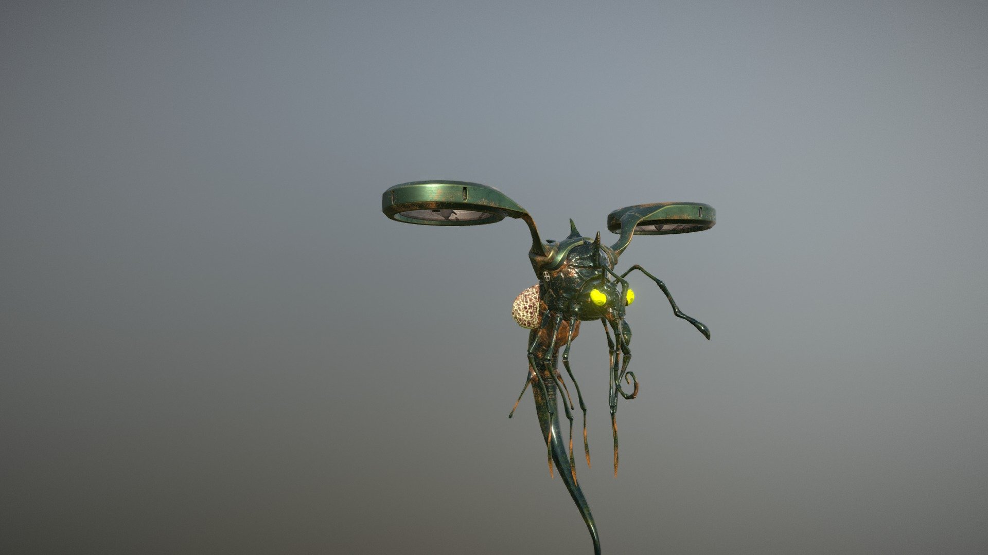 Insect texturing - 3D model by tony.lenssen (@tony-lenssen) [76f94f5 ...