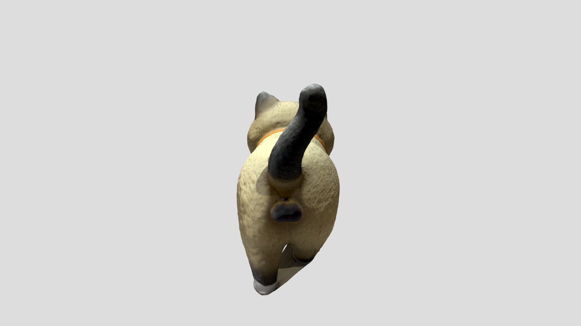 Olga cat.glb - Download Free 3D model by OlgaB99 [76fa302] - Sketchfab