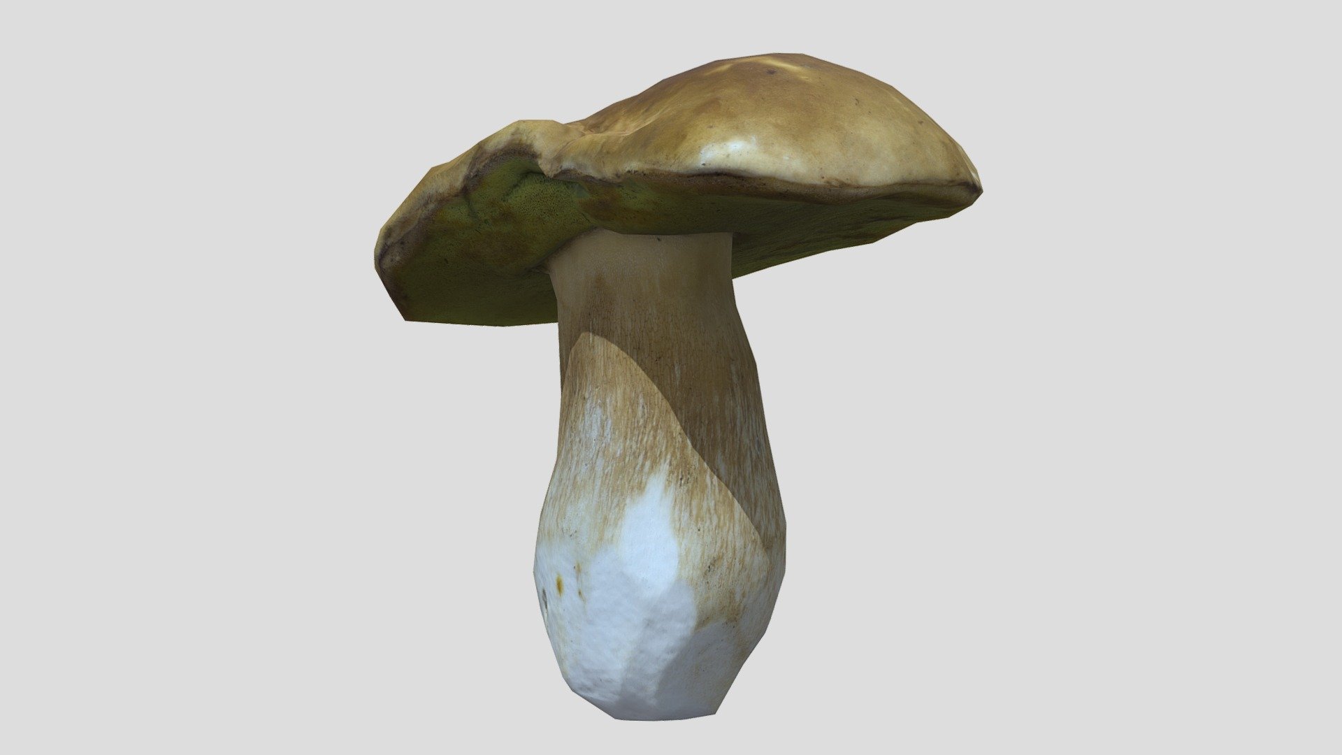 Onddo zuri_LowPoly_Normals_Oclusion - Buy Royalty Free 3D model by ...