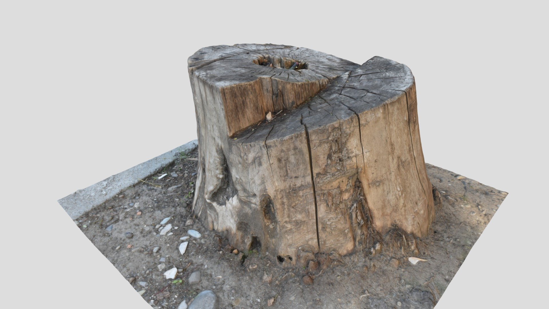Stump - Download Free 3D model by sv.stats [7700563] - Sketchfab