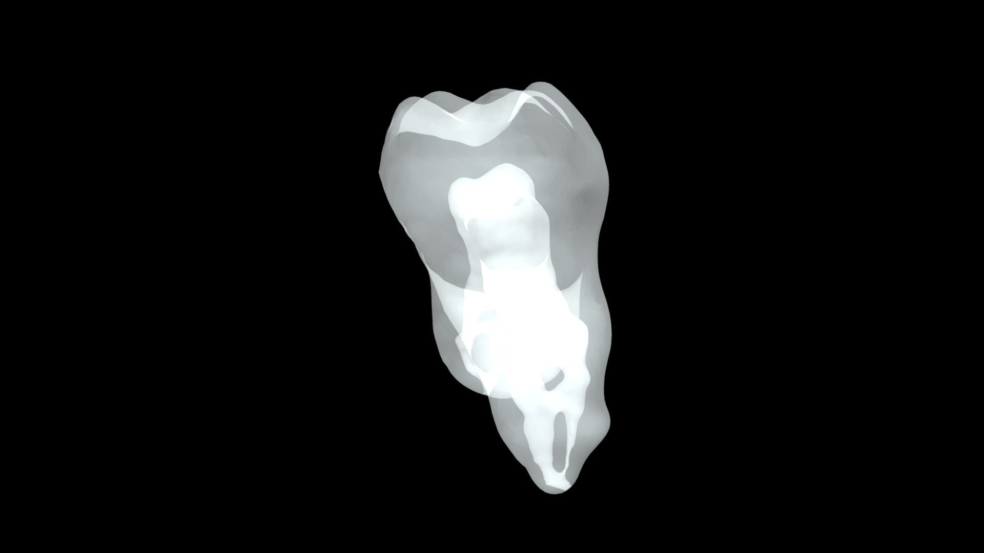 Primary Lower Molar - 3D model by biomed3d [7701466] - Sketchfab