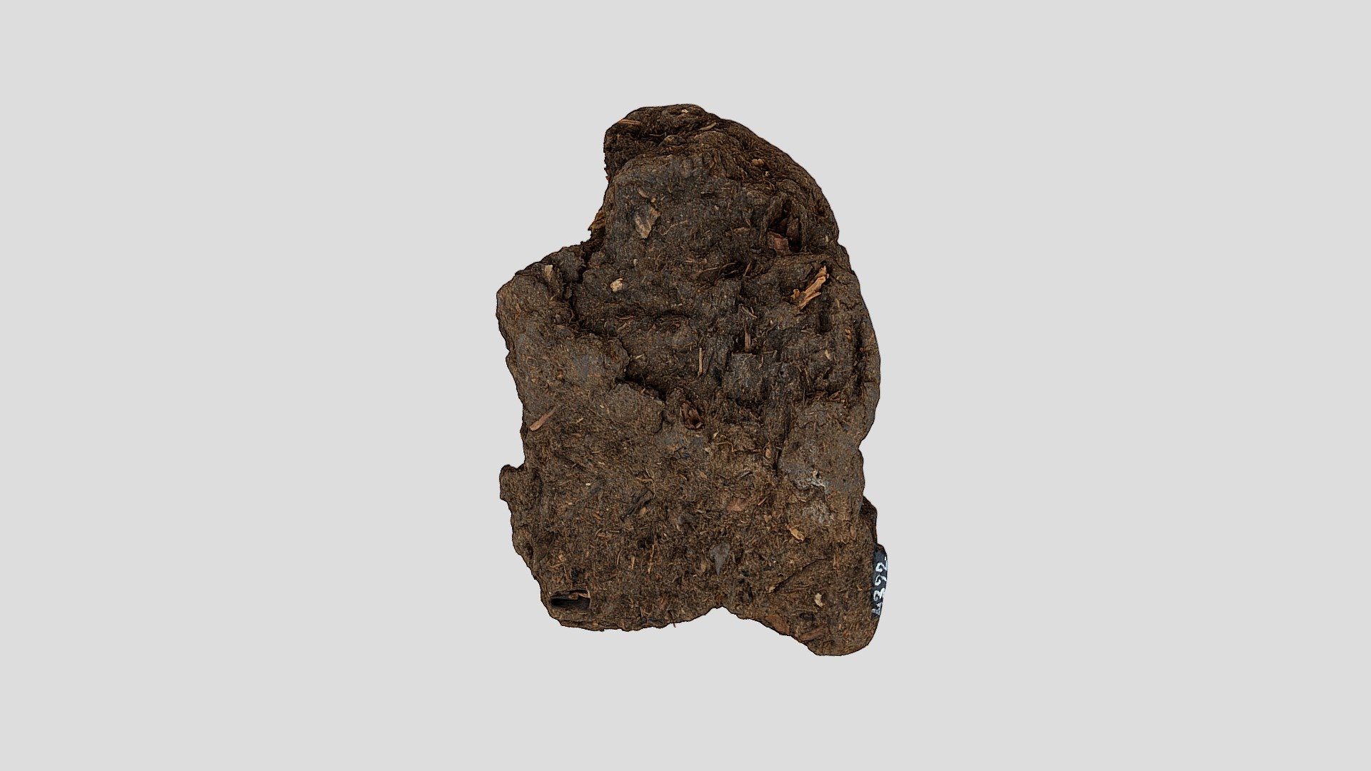 Peat Turf - Download Free 3D model by EDUROCK – EDUCATIONAL VIRTUAL ...