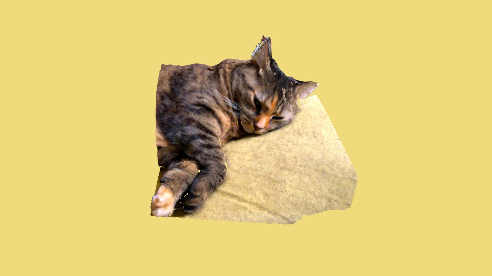 Cat 3D scan - 3D model by Guillermo Sainz (@guillermosainz) [770c20c ...
