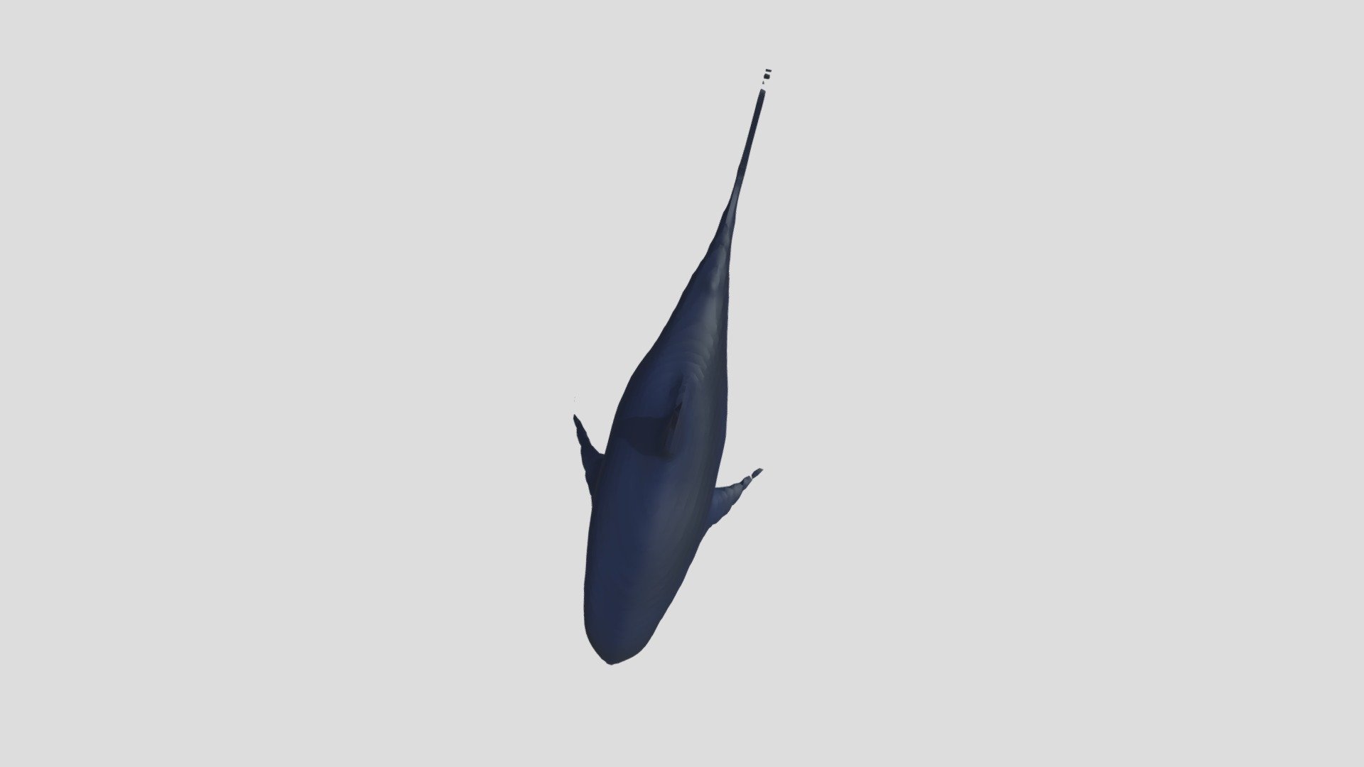 example_mesh_2 - 3D model by 12341212 [771967c] - Sketchfab