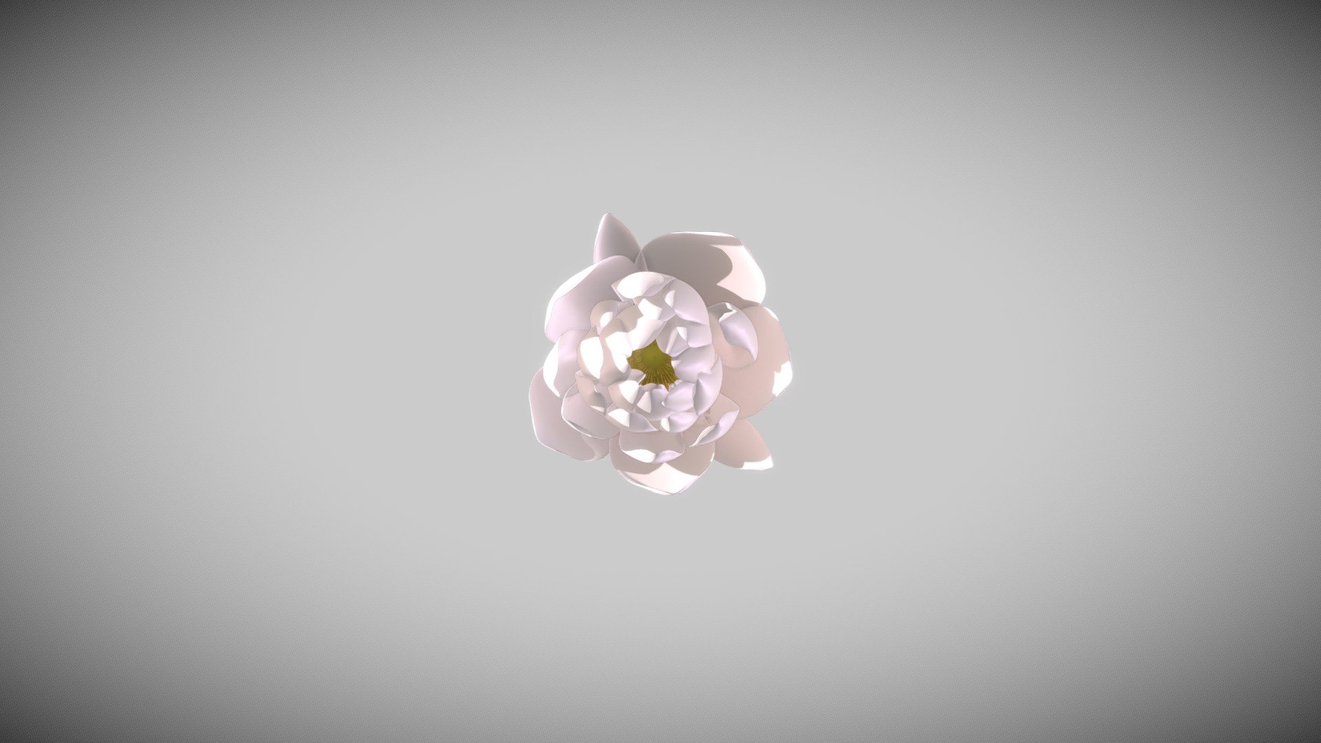 Lotus Flower Blooming Animation - Download Free 3D model by Alexander ...