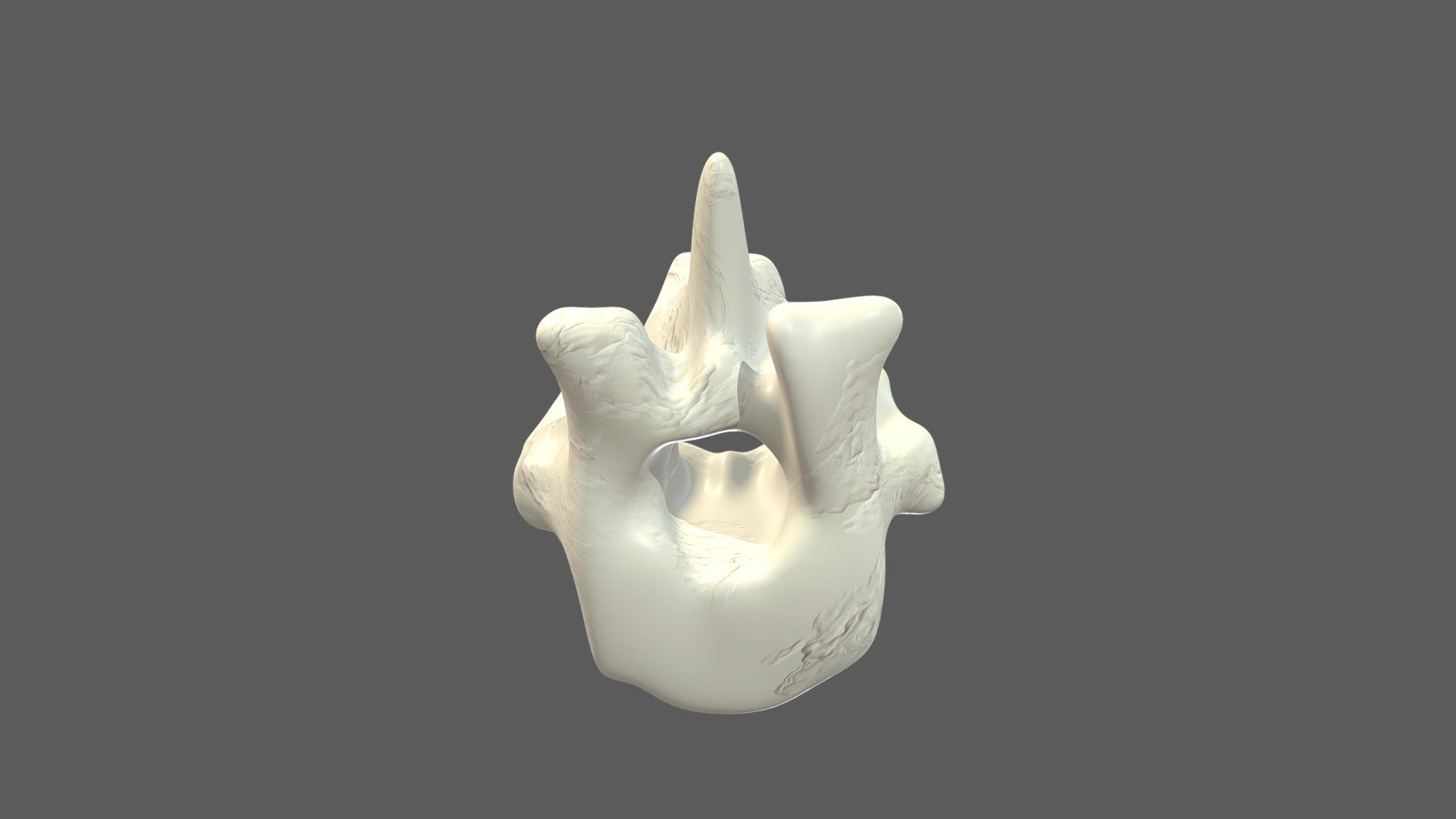 Canine T12_Vertebra - 3D model by VetVis3D [771c415] - Sketchfab