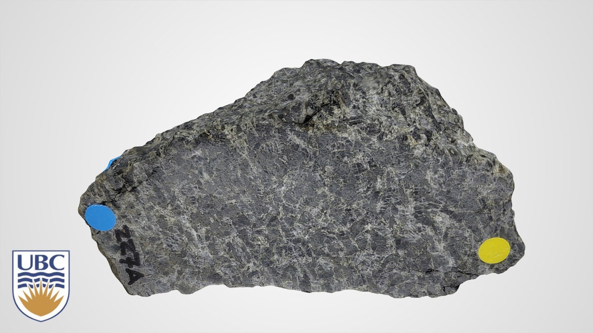 Skaergaard intrusion LZa (SEB87-227A) - 3D model by Nichole Moerhuis ...