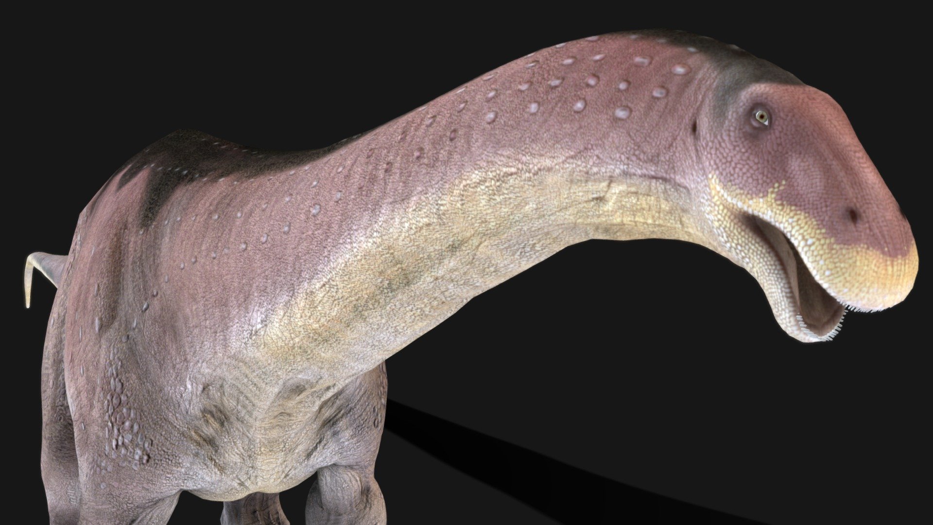 Apato - Buy Royalty Free 3D model by robertfabiani [771fae5 ...