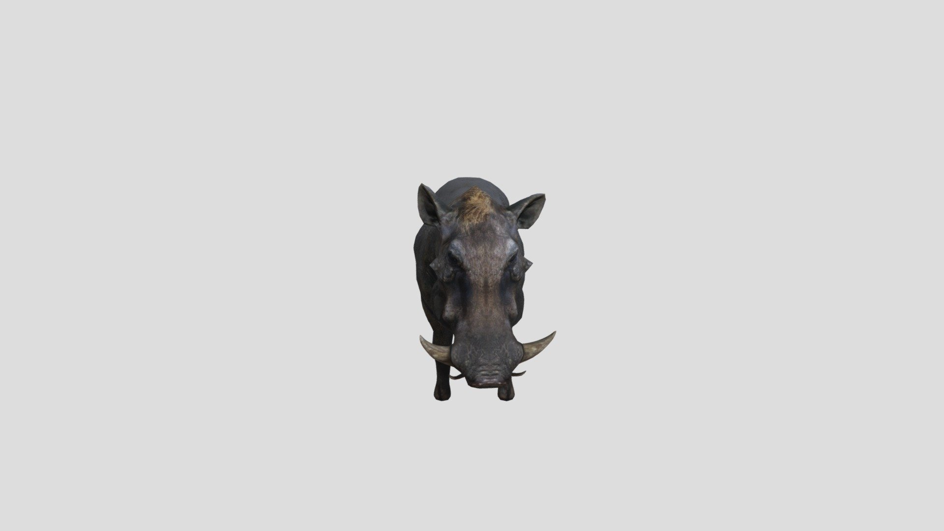 Warthog - Download Free 3D model by hendrikReyneke [77208f9] - Sketchfab