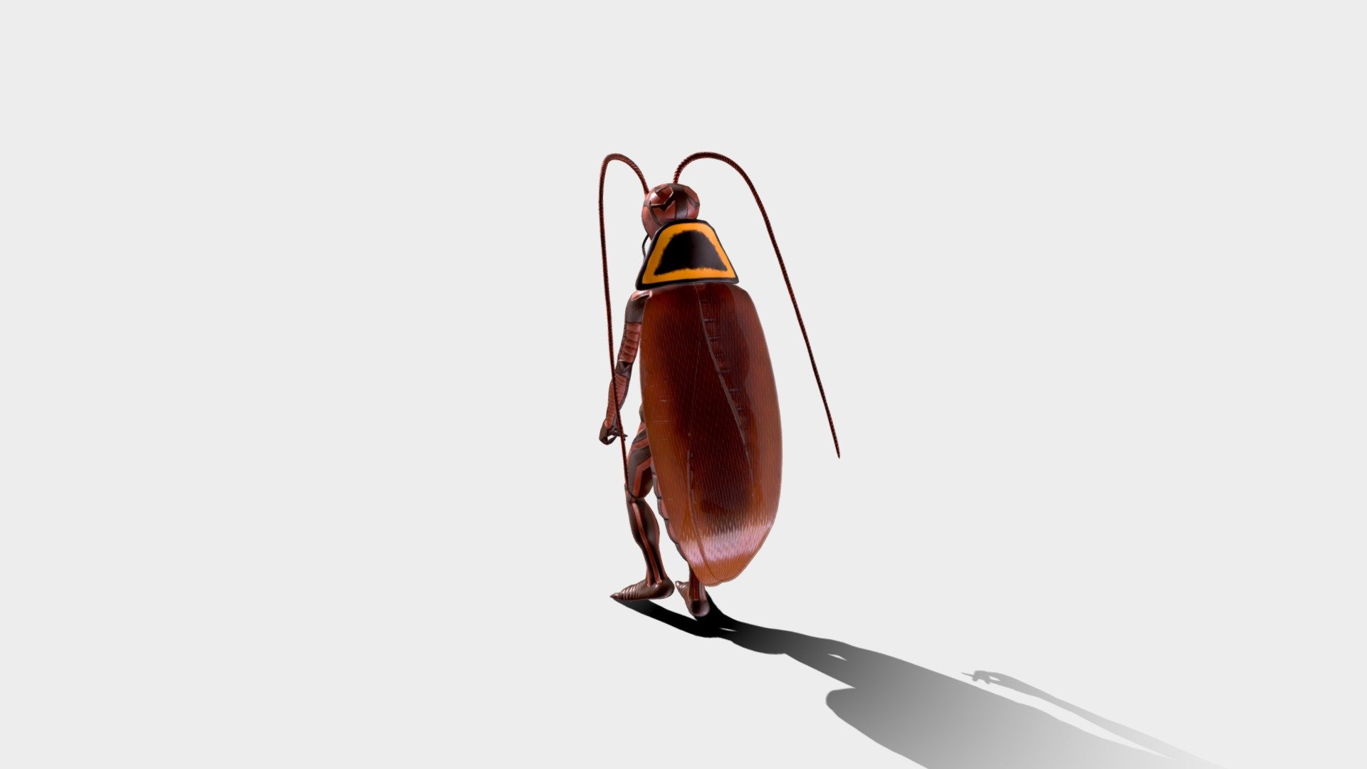 Cockroach Man - 3D model by Charles Smith (Blitz Mobile Apps ...