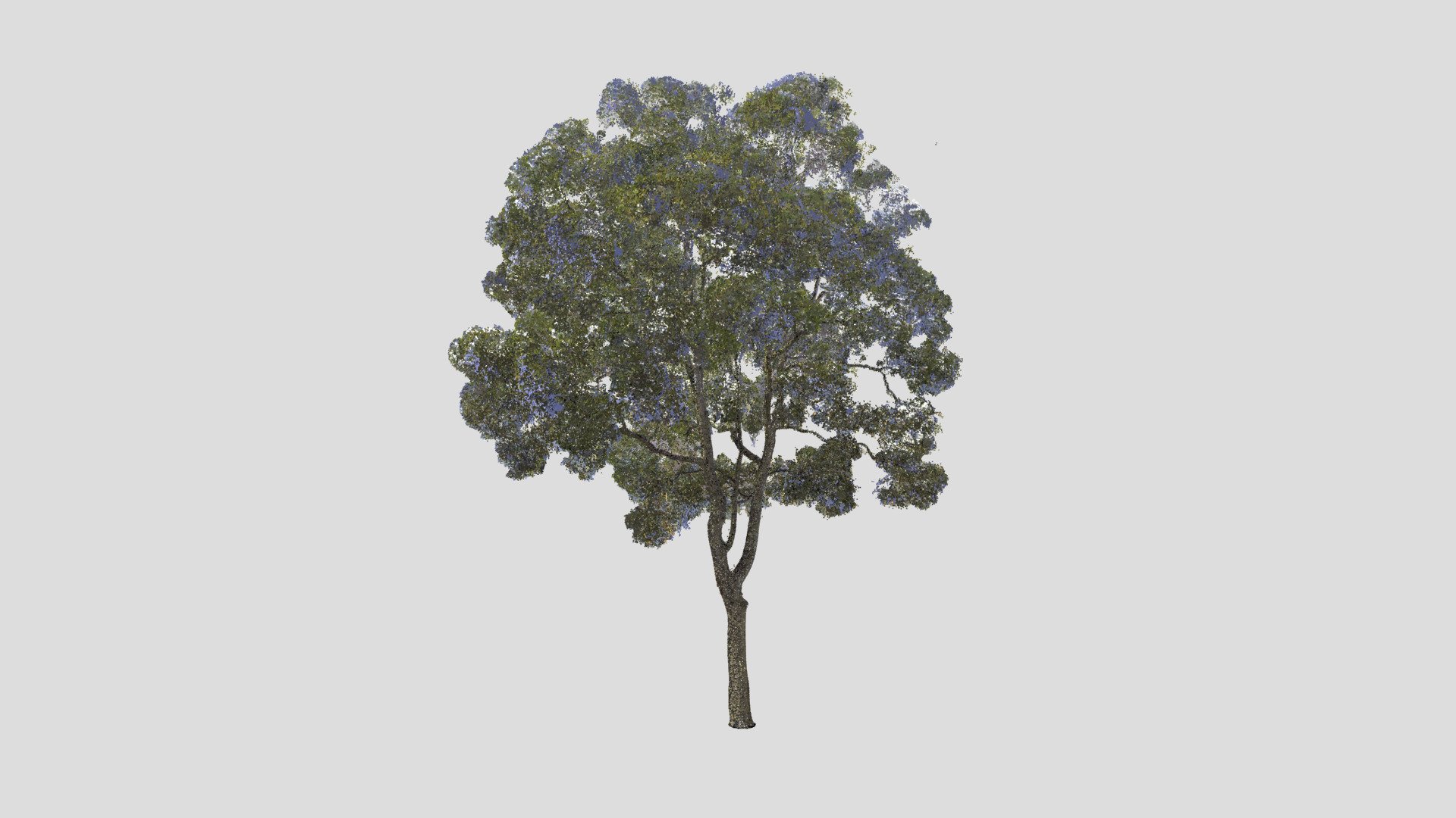 Tree Point Cloud - Buy Royalty Free 3D model by magnum_opus (@tree ...