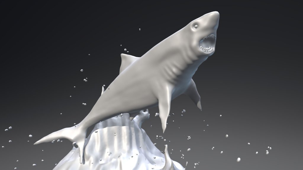 Sharky - 3D model by Mikey G (@mags) [77253db] - Sketchfab