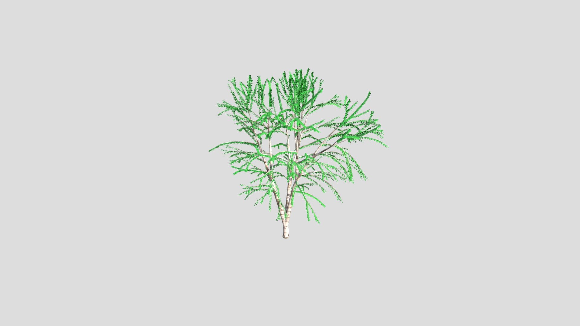 Roure - Download Free 3D model by JoanKeops (@Joan1999) [7731677 ...