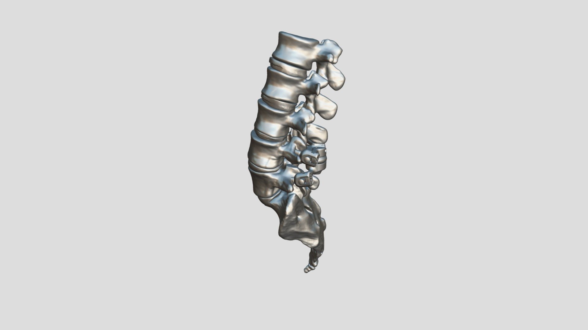 Spine Preview2 Packet - 3D model by Virtual-Point (@YosiWolfson ...