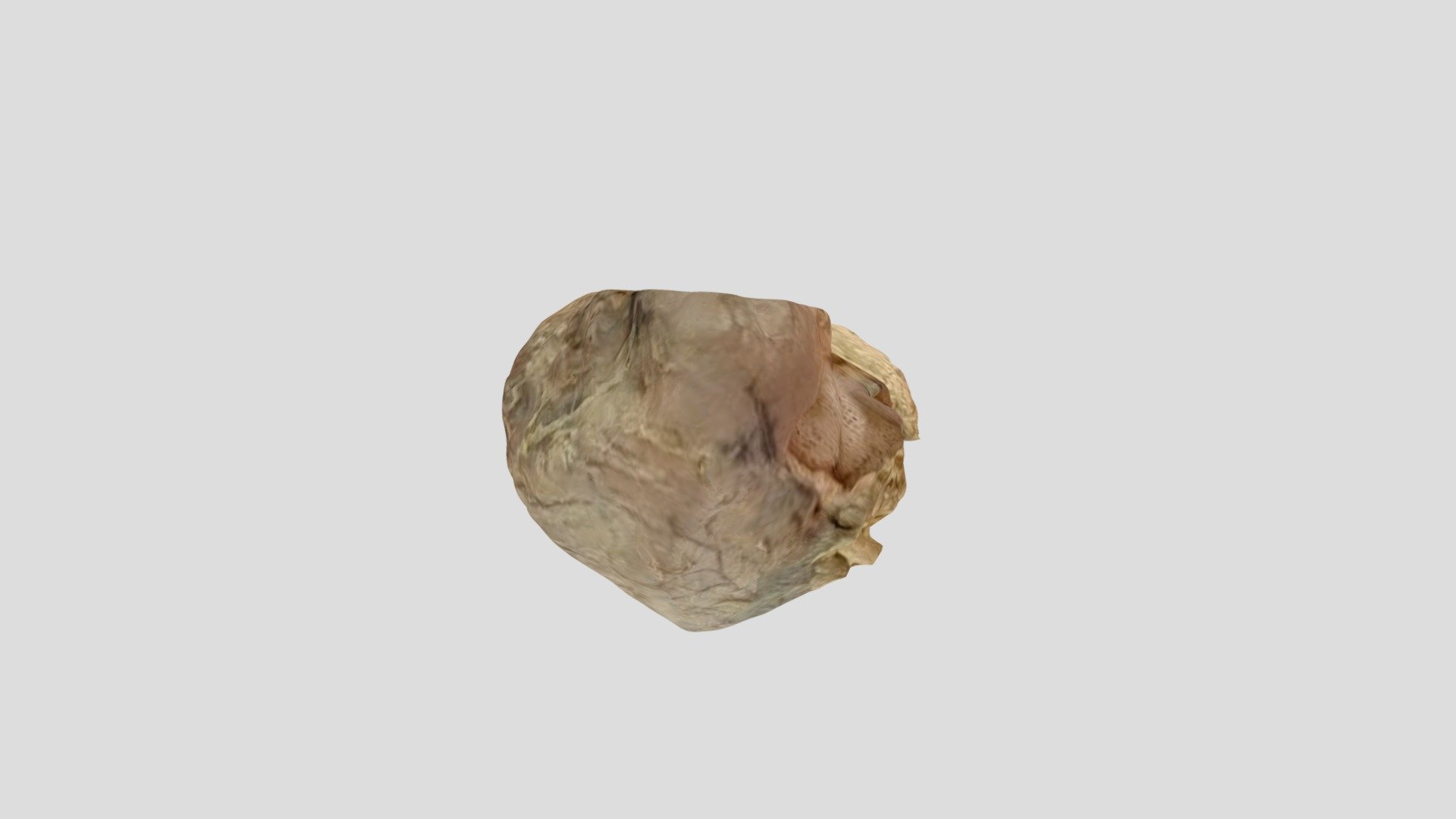 New Qlone - Download Free 3D model by BV - LMF (@bruno261082) [773719c ...