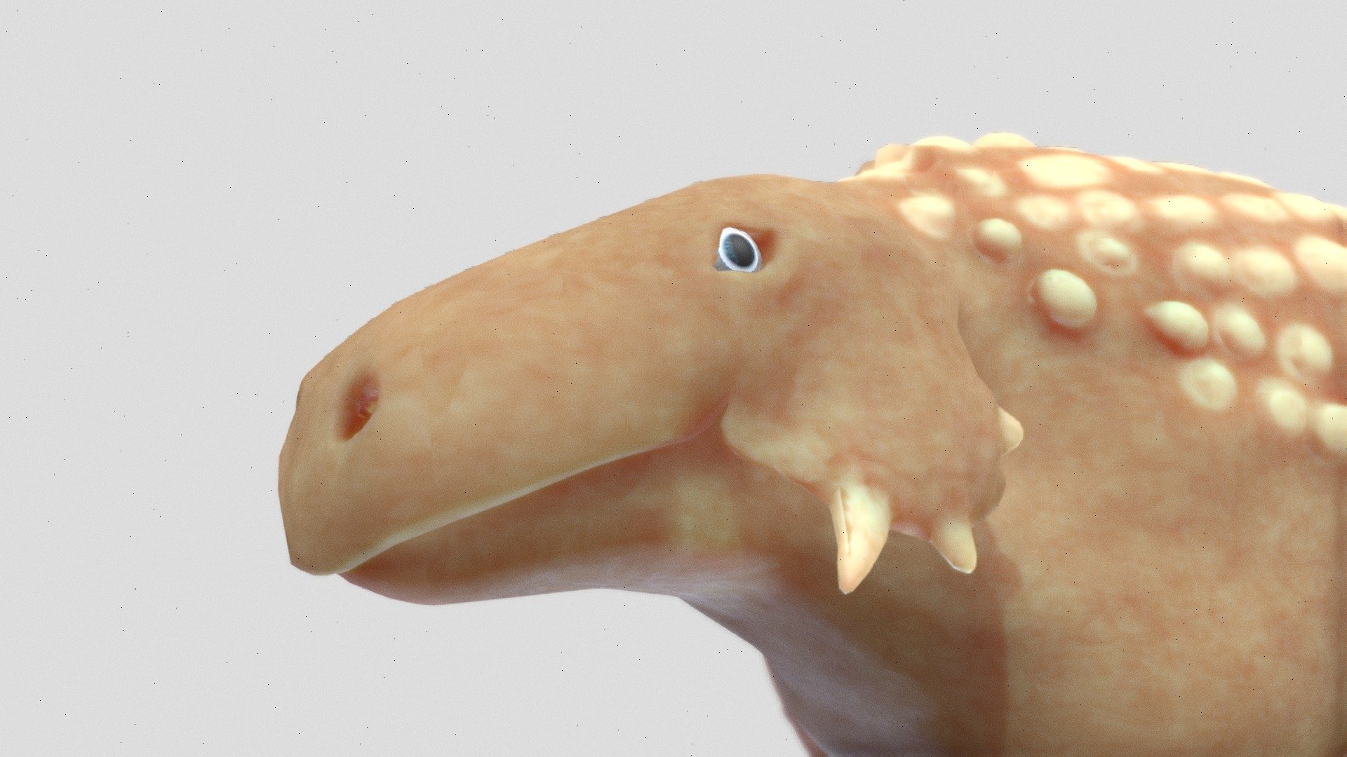 scutosaurus - 3D model by Fnalowh [7741cb9] - Sketchfab