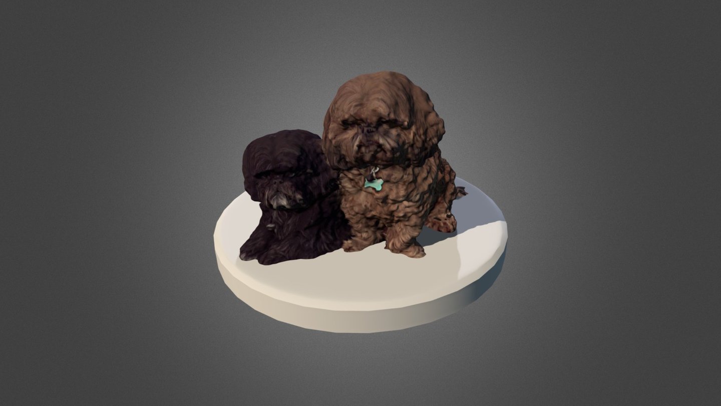 Pets with base - 3D model by G MEDIA (@GMEDIA3D) [774ab65] - Sketchfab