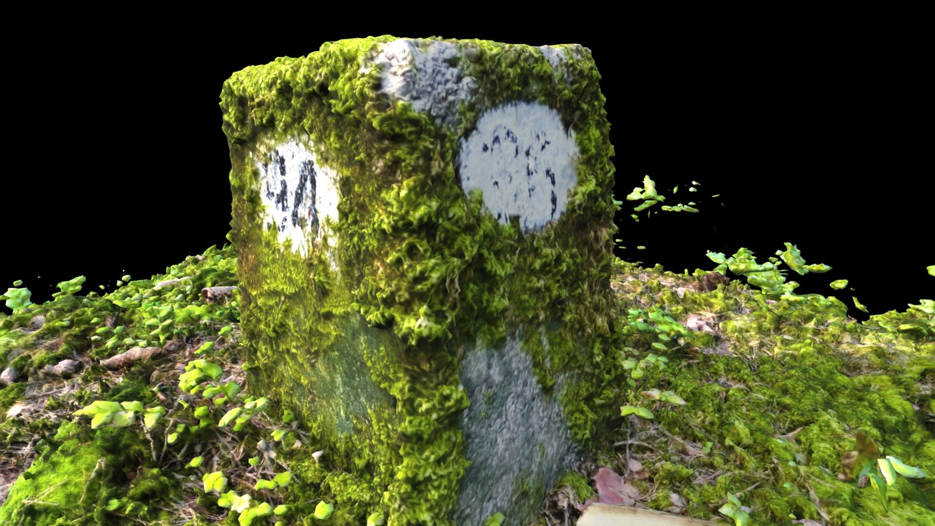 Mossy Forest Pillar Photoscan - Download Free 3D model by Cathouse ...