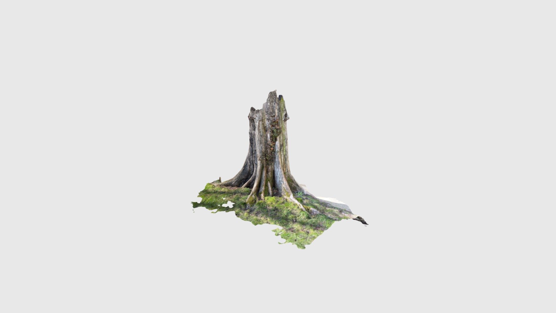 Treelog - 3D model by Marschi [774cb49] - Sketchfab