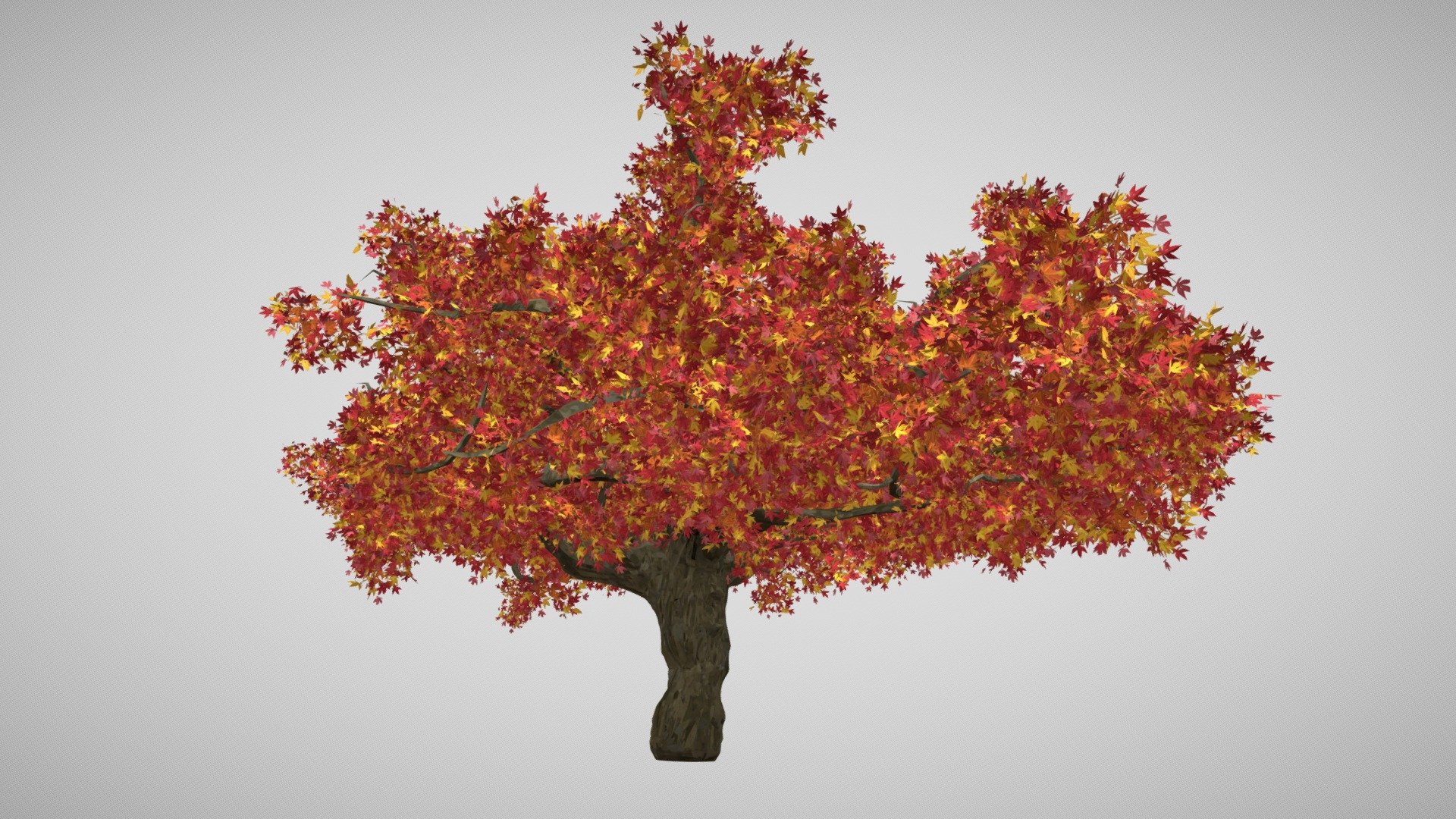 Maple Tree - Download Free 3D model by Ben Lebreux (@ben.lebreux ...